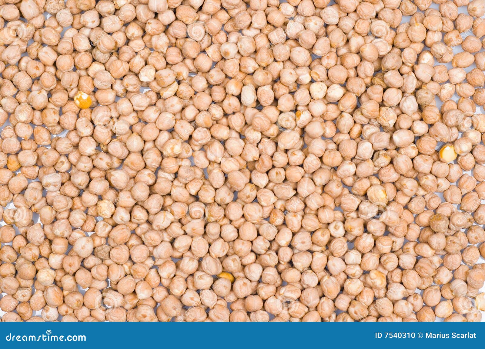 Ceci fotografia stock. Immagine di nutriente, sgranato - 7540310