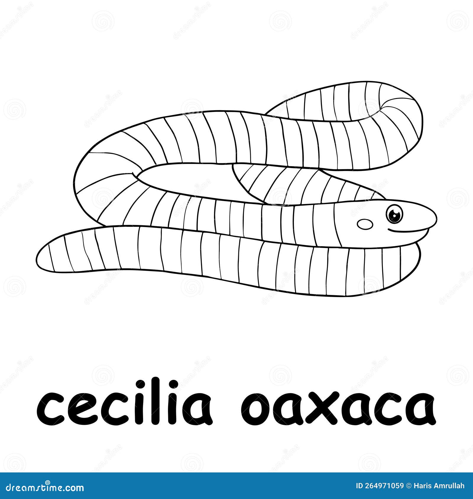 Kids Line Illustration Coloring Cecilia Oaxaca. Outline Vector For ...