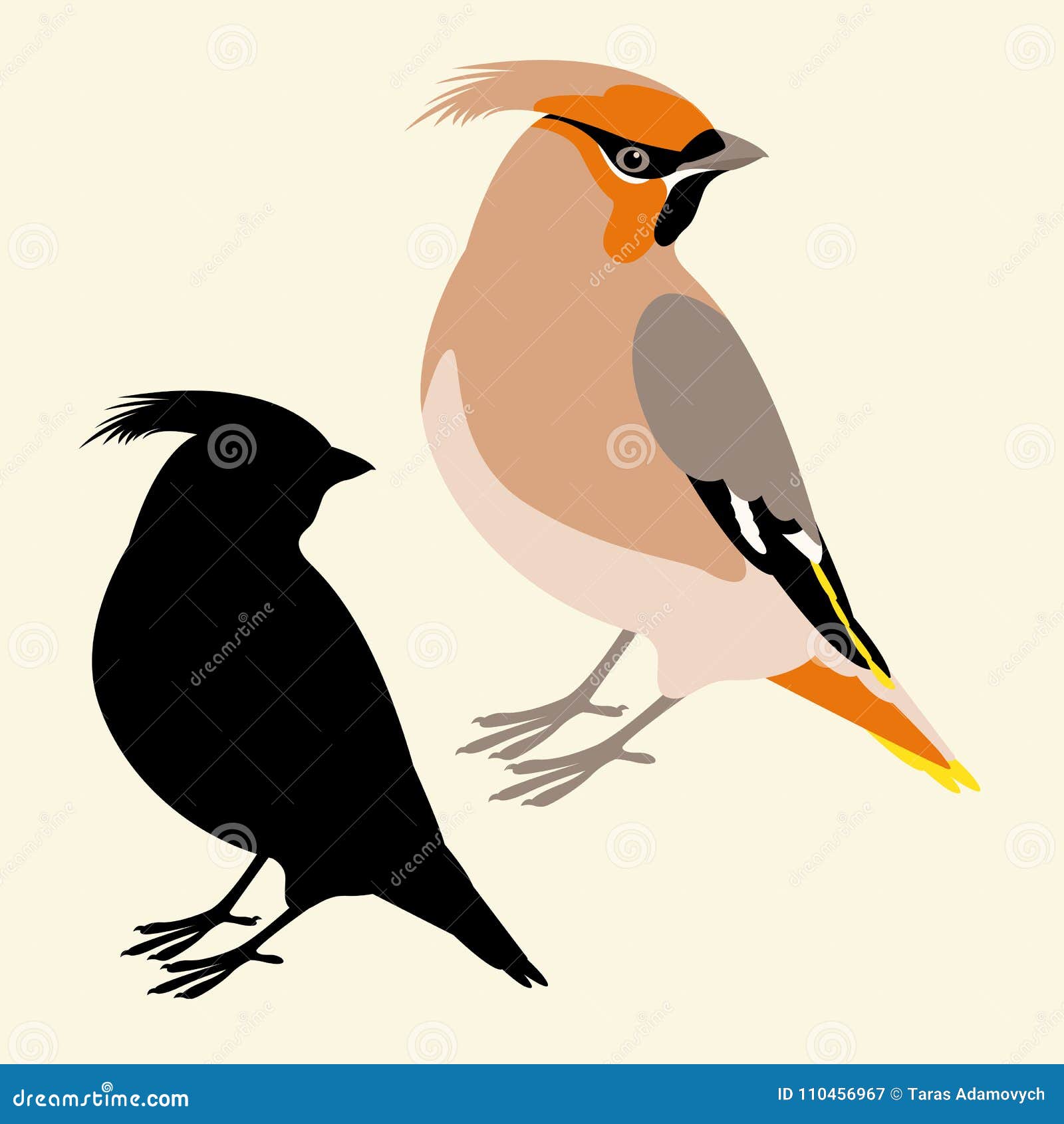 Cedar Bird Vector Illustration Flat Style Profile Silhouette Stock ...