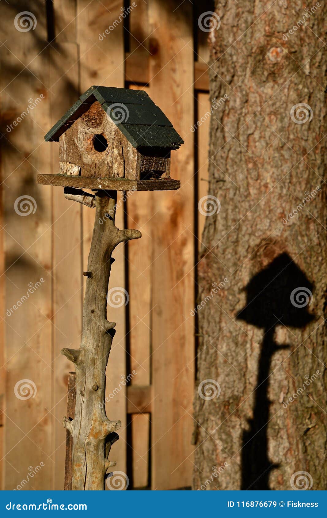 Cedar Birdhouse Casts a Shadow on a Cedar Tree Stock Image - Image of ...