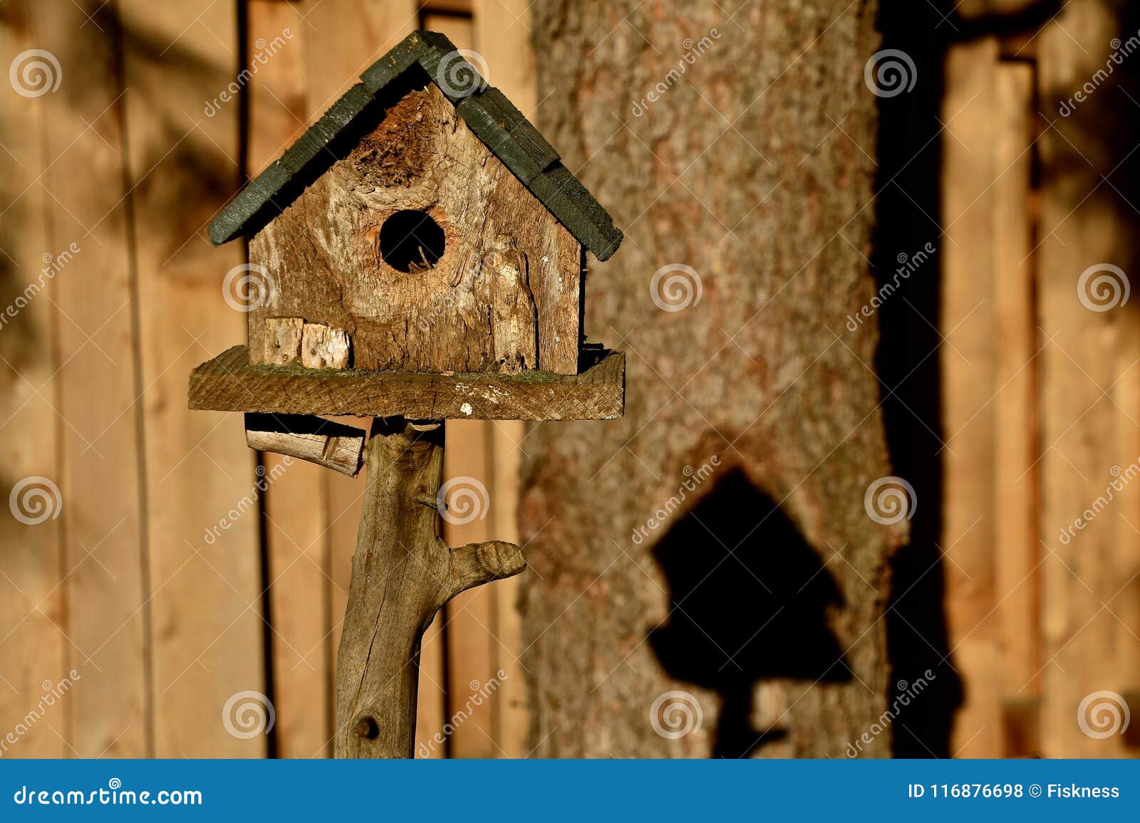 Cedar Birdhouse Casts a Shadow on a Cedar Tree Stock Photo - Image of ...