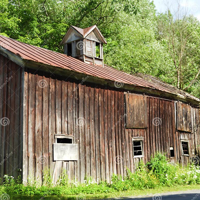 Cedar Board and Batten Barn with Cupola Stock Photo - Image of carraige ...