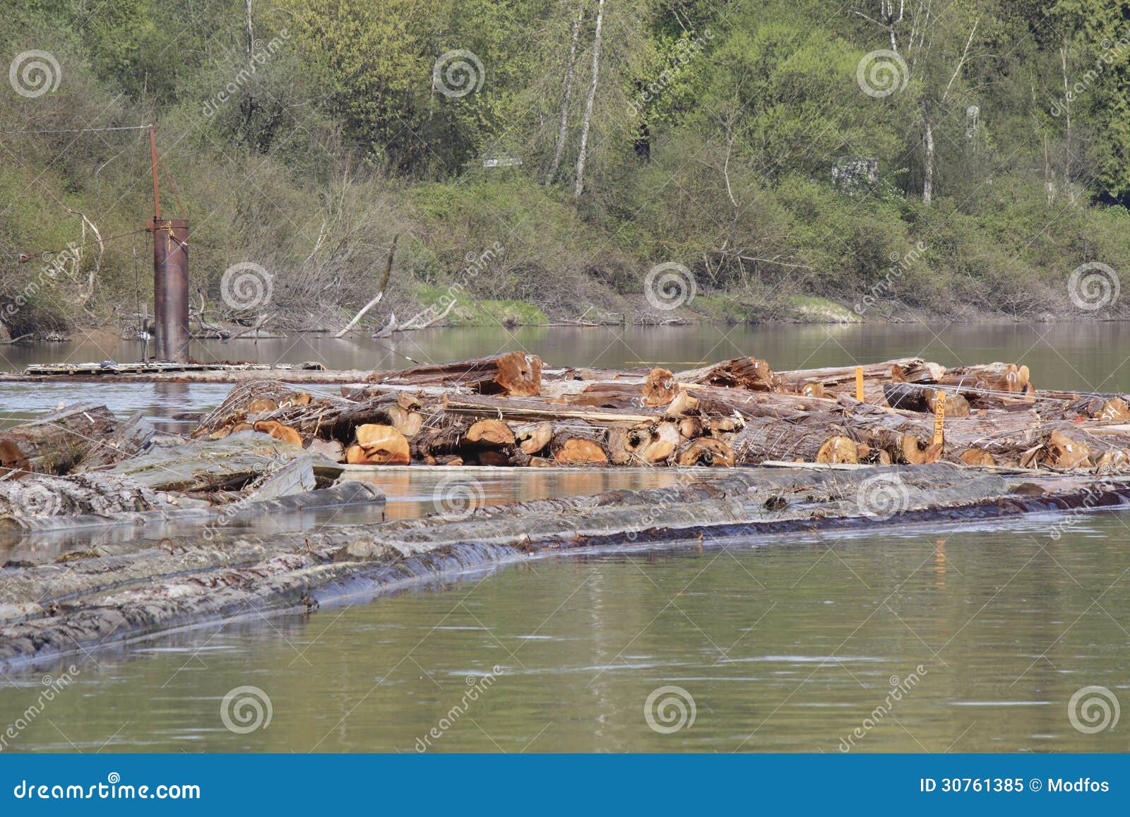 Cedar Boom on River stock image. Image of product, wood - 30761385