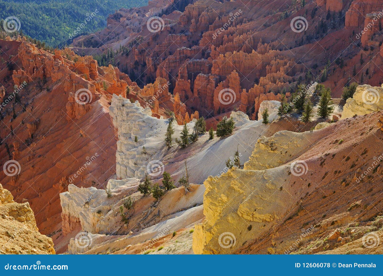 Cedar Breaks National Monument Stock Photo - Image of eroded, landscape ...