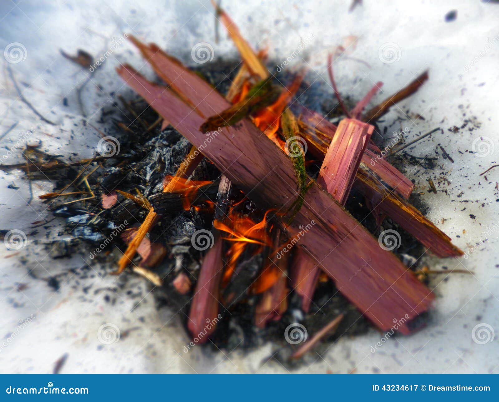 Cedar Camp Fire stock image. Image of cedar, cold, camping - 43234617