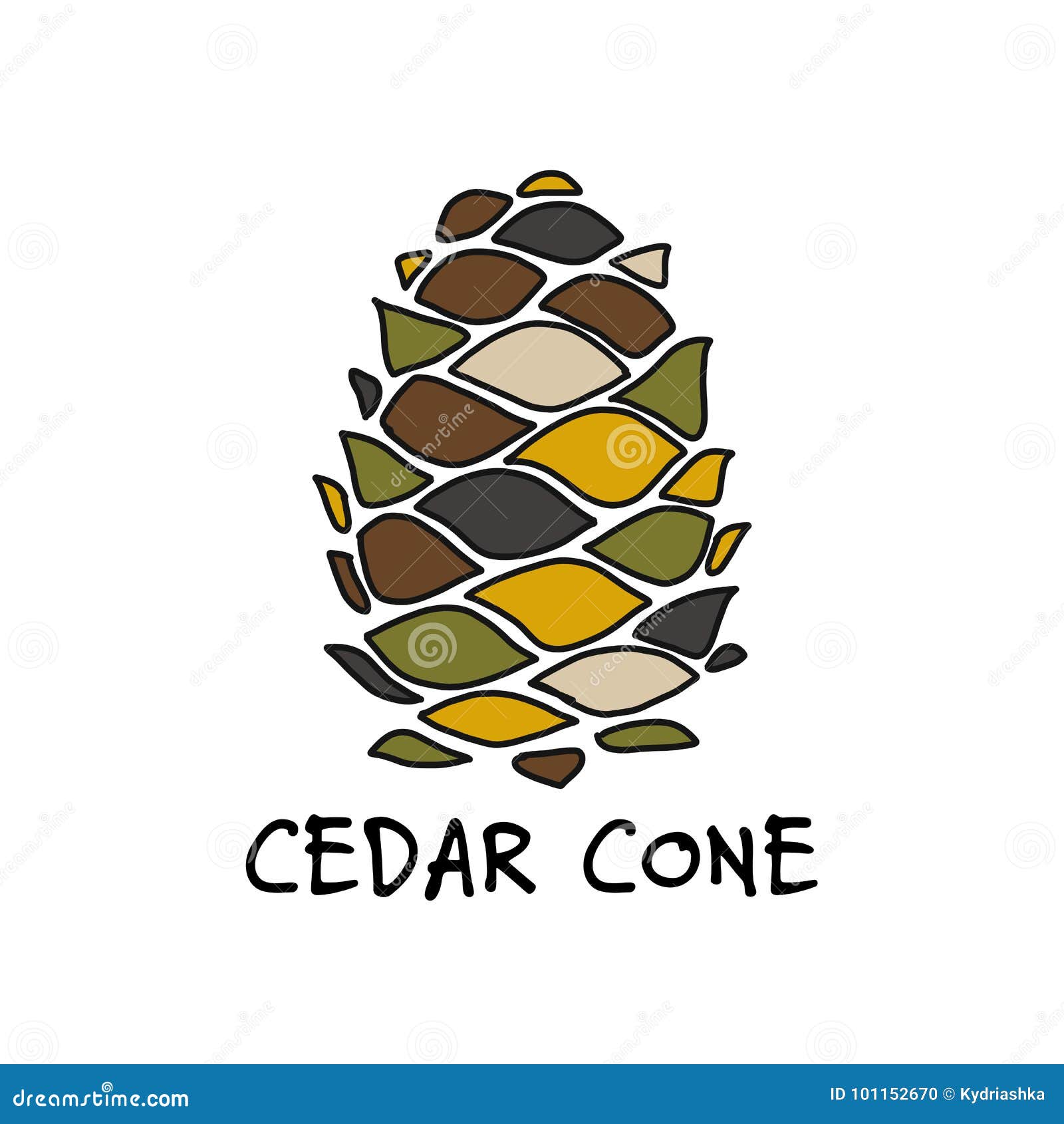 Cedar Cone, Sketch for Your Design Stock Vector - Illustration of ...