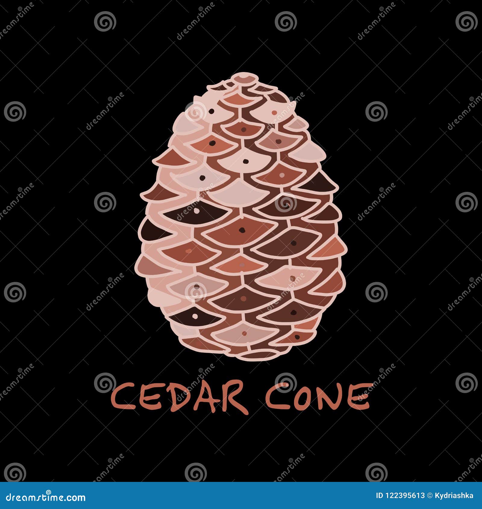 Cedar Cone, Sketch for Your Design Stock Vector - Illustration of ...