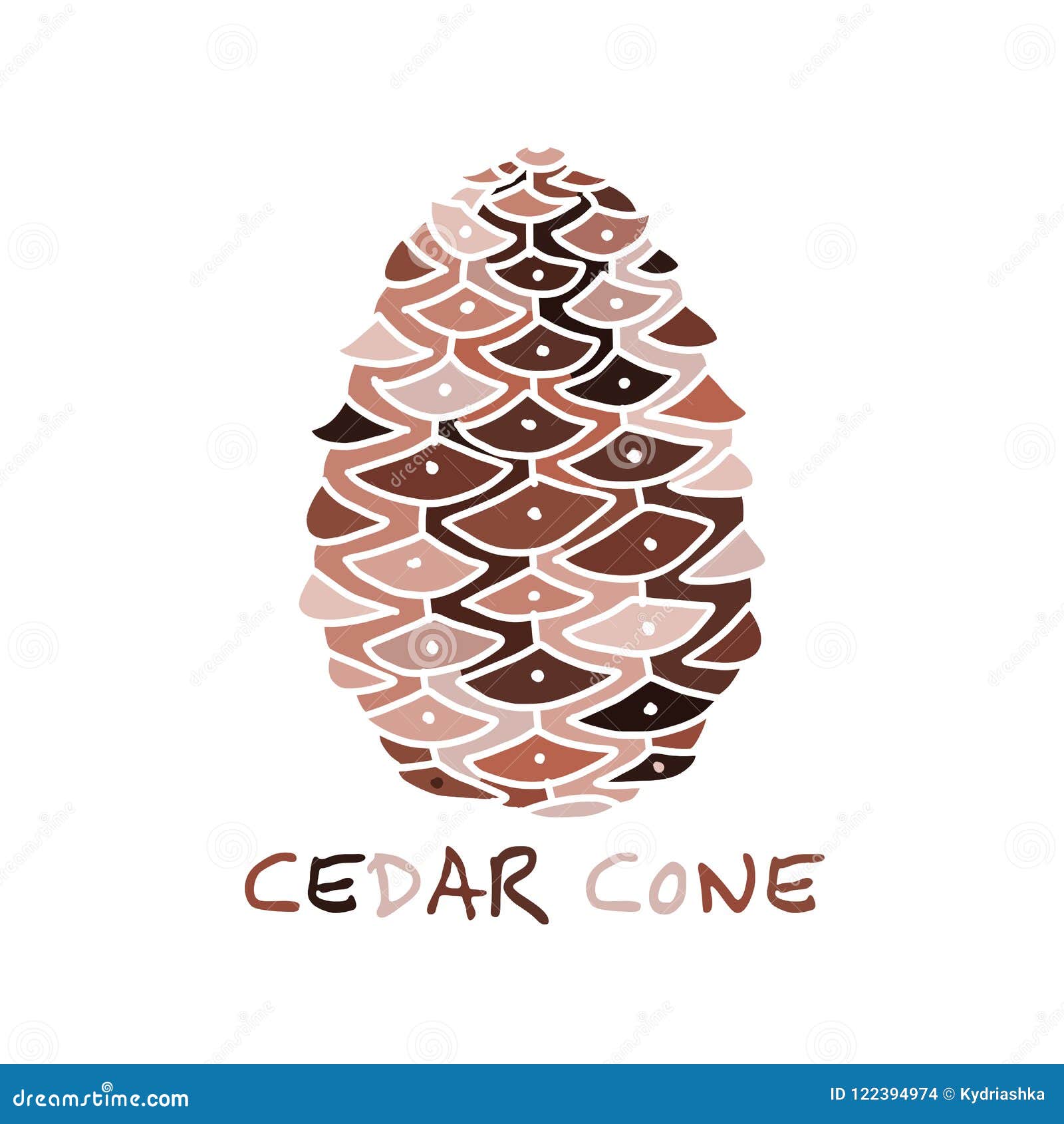 Cedar Cone, Sketch for Your Design Stock Vector - Illustration of ...