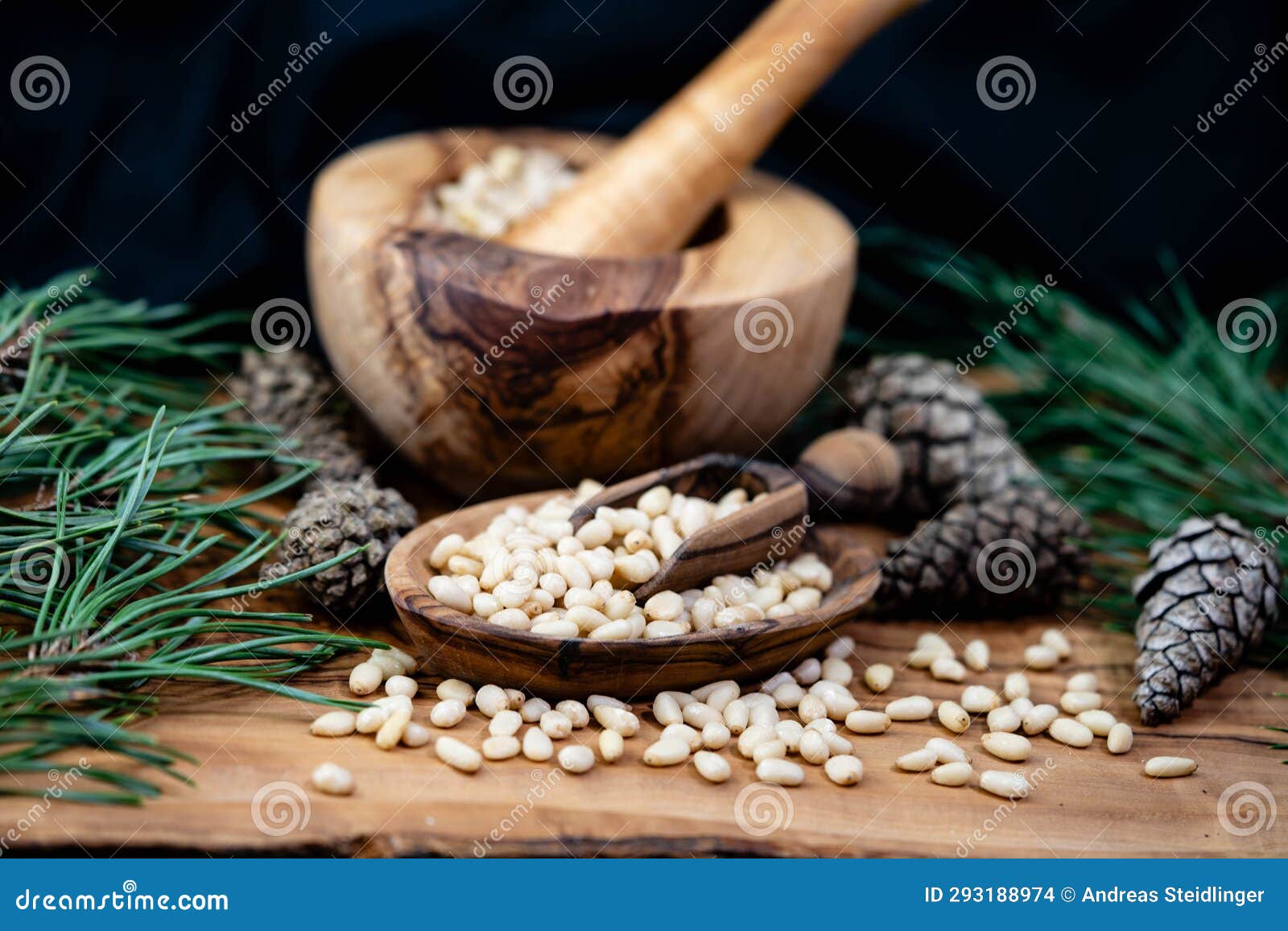Fresh Cedar nuts stock photo. Image of cedar, herb, needle - 293188974