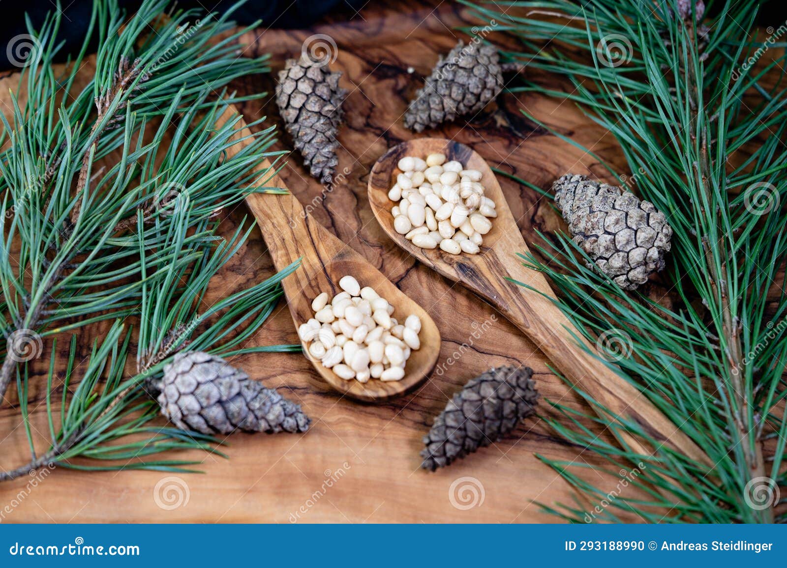 Fresh Cedar nuts stock photo. Image of fruits, dinner - 293188990