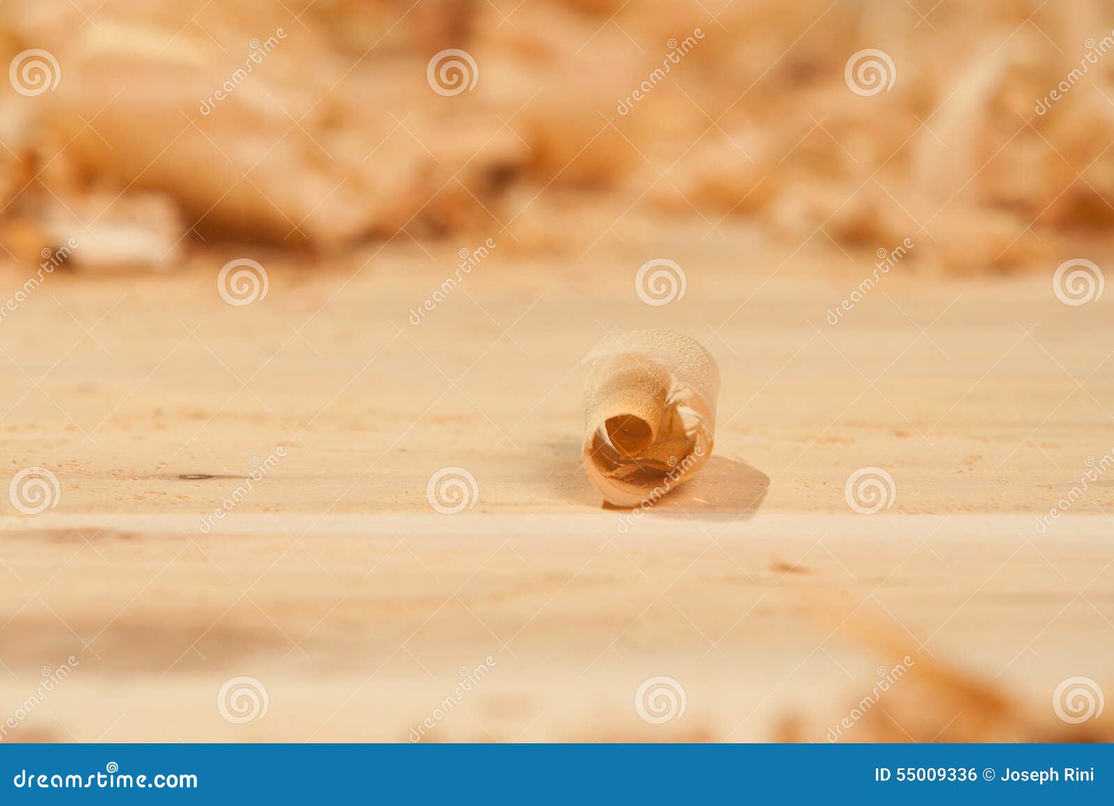 Cedar curl stock photo. Image of boards, board, prepped - 55009336