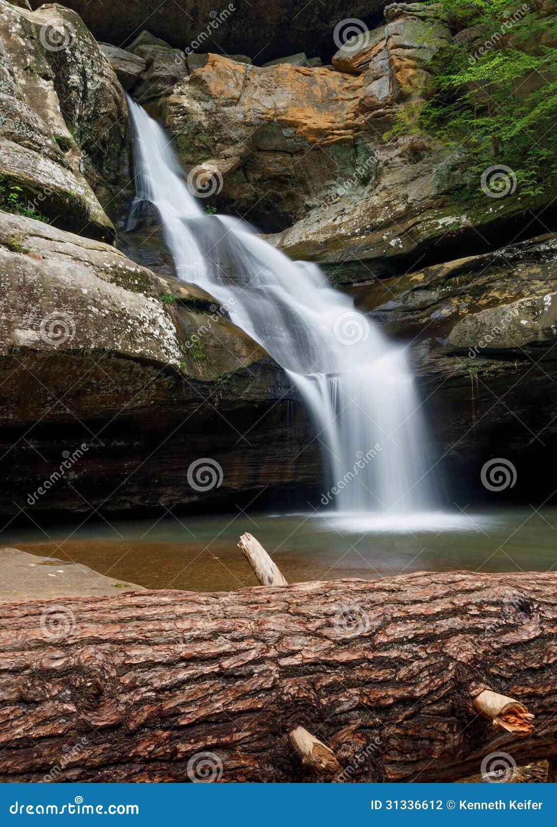 Cedar Falls with Fallen Tree Stock Photo - Image of motion, hike: 31336612