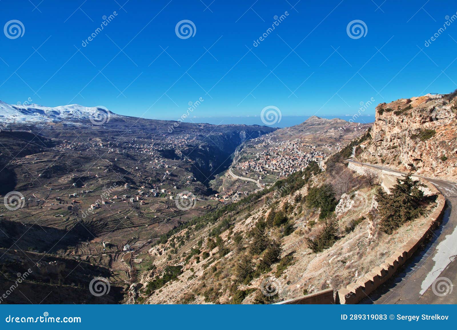 The Cedar Forest in Mountains of Lebanon Stock Image - Image of park ...