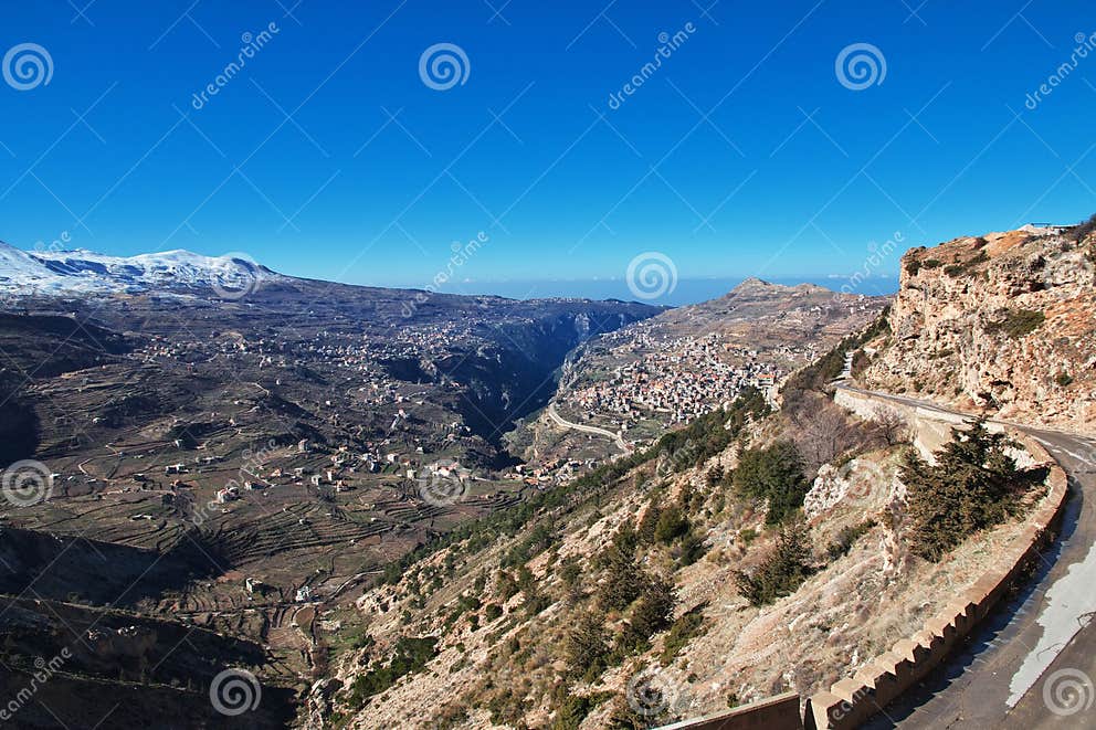 The Cedar Forest in Mountains of Lebanon Stock Image - Image of park ...