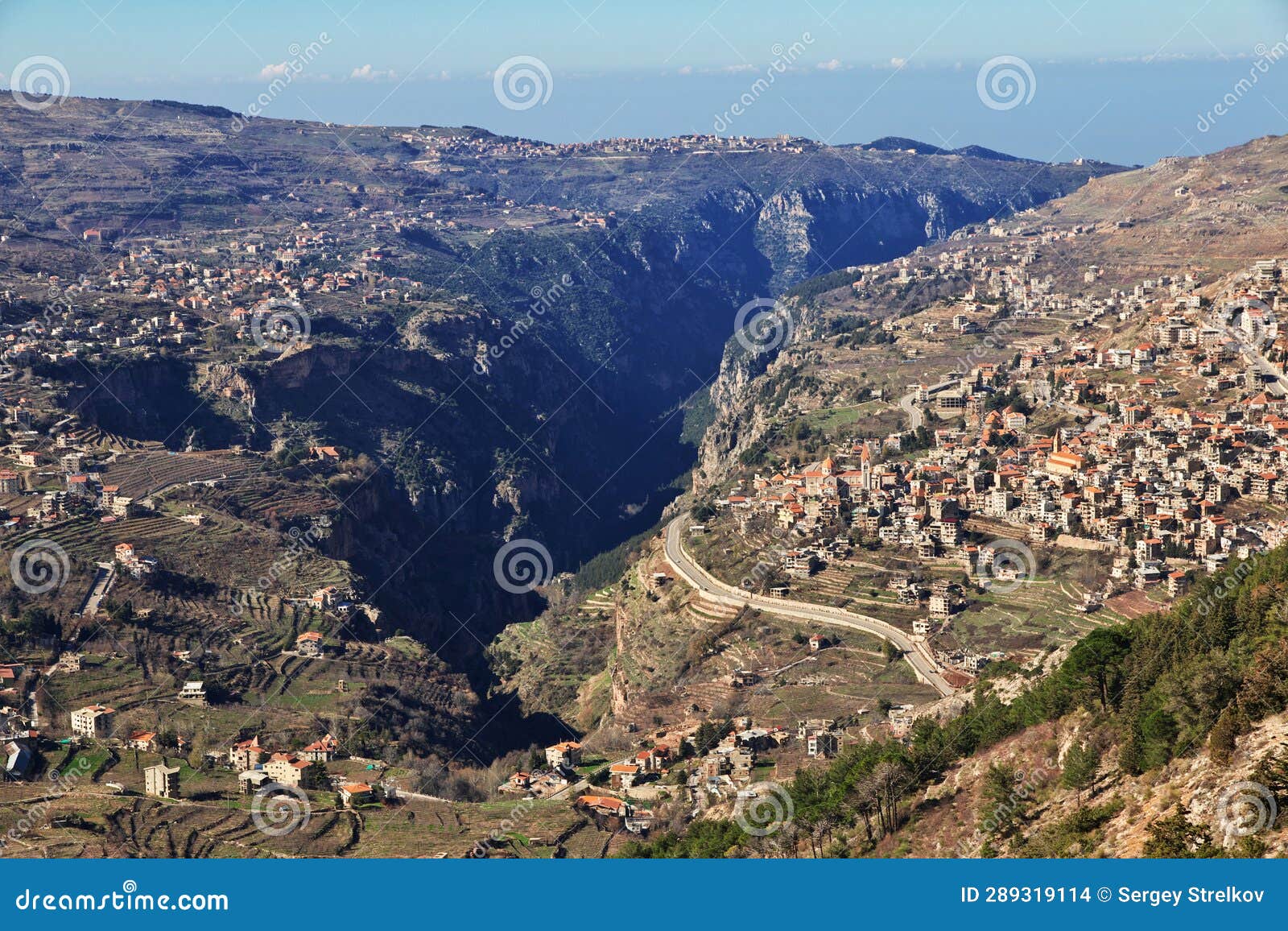 The Cedar Forest in Mountains of Lebanon Stock Photo - Image of branch ...
