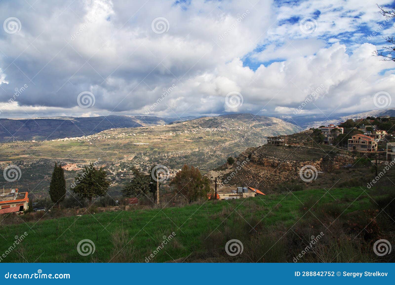 The Cedar Forest in Mountains of Lebanon Stock Photo - Image of scene ...
