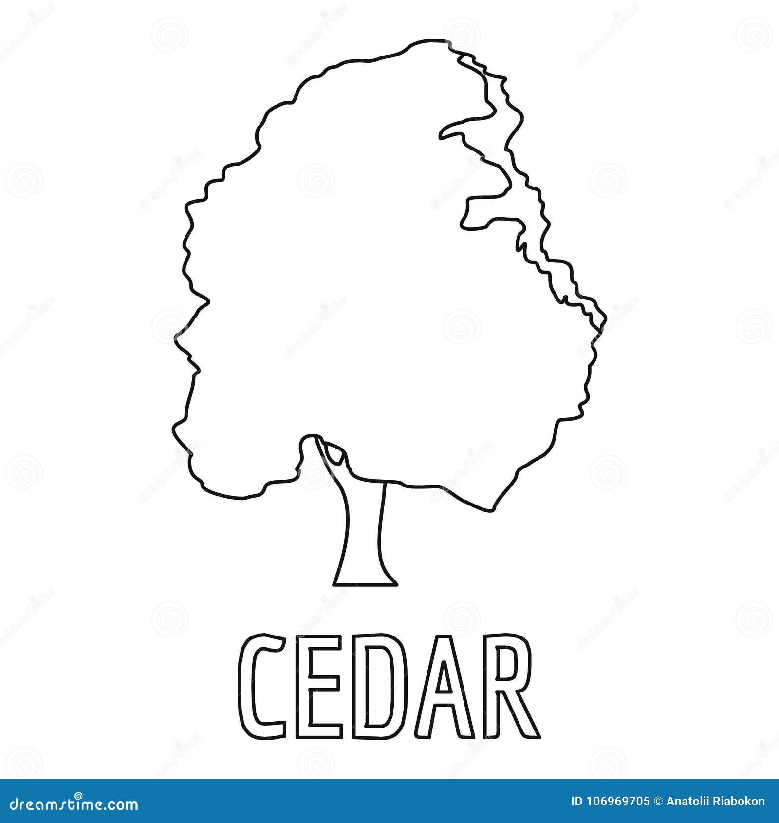Cedar Icon. Trendy Modern Flat Linear Vector Cedar Icon On White ...