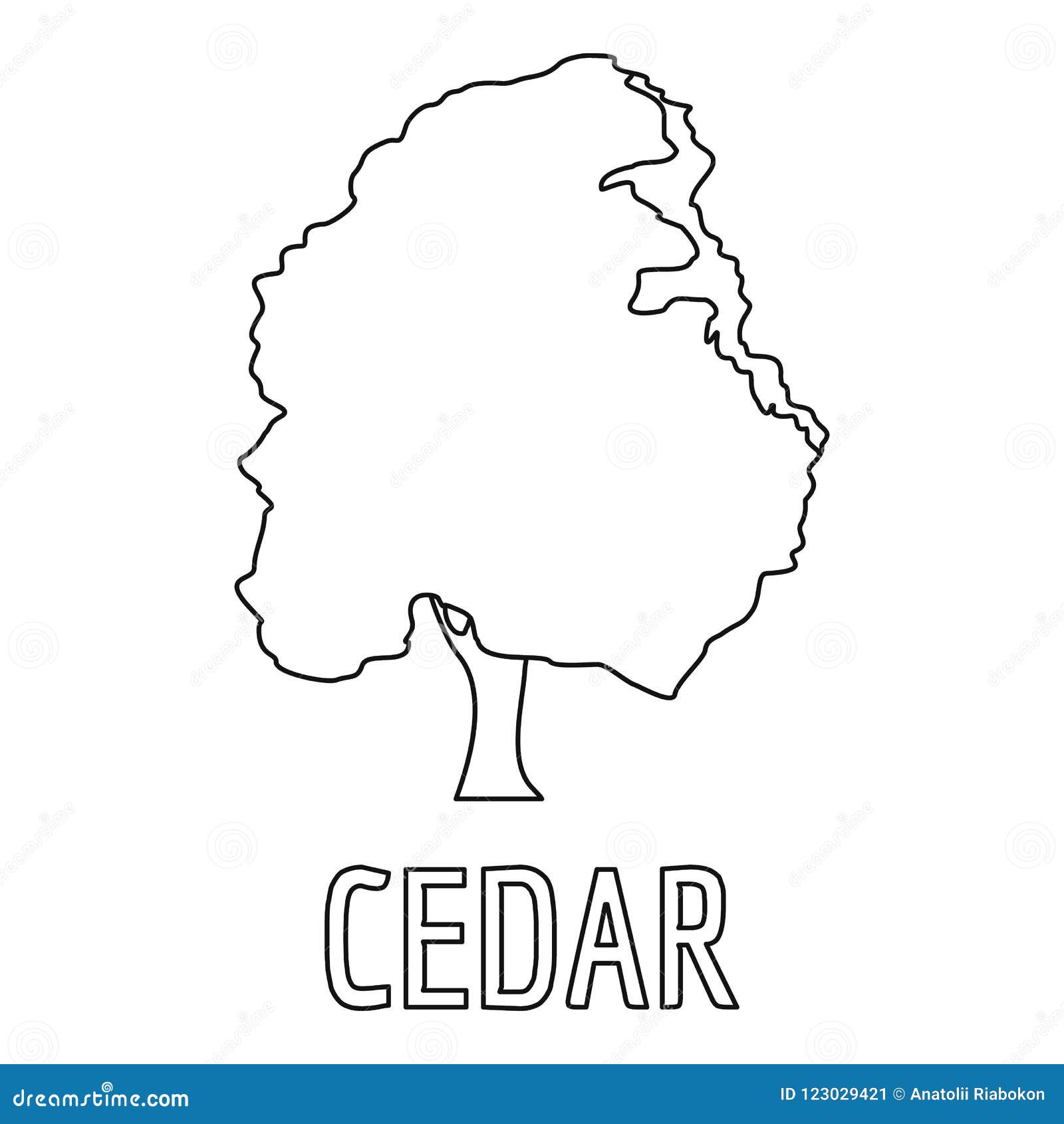 Cedar icon, outline style. stock illustration. Illustration of nature ...