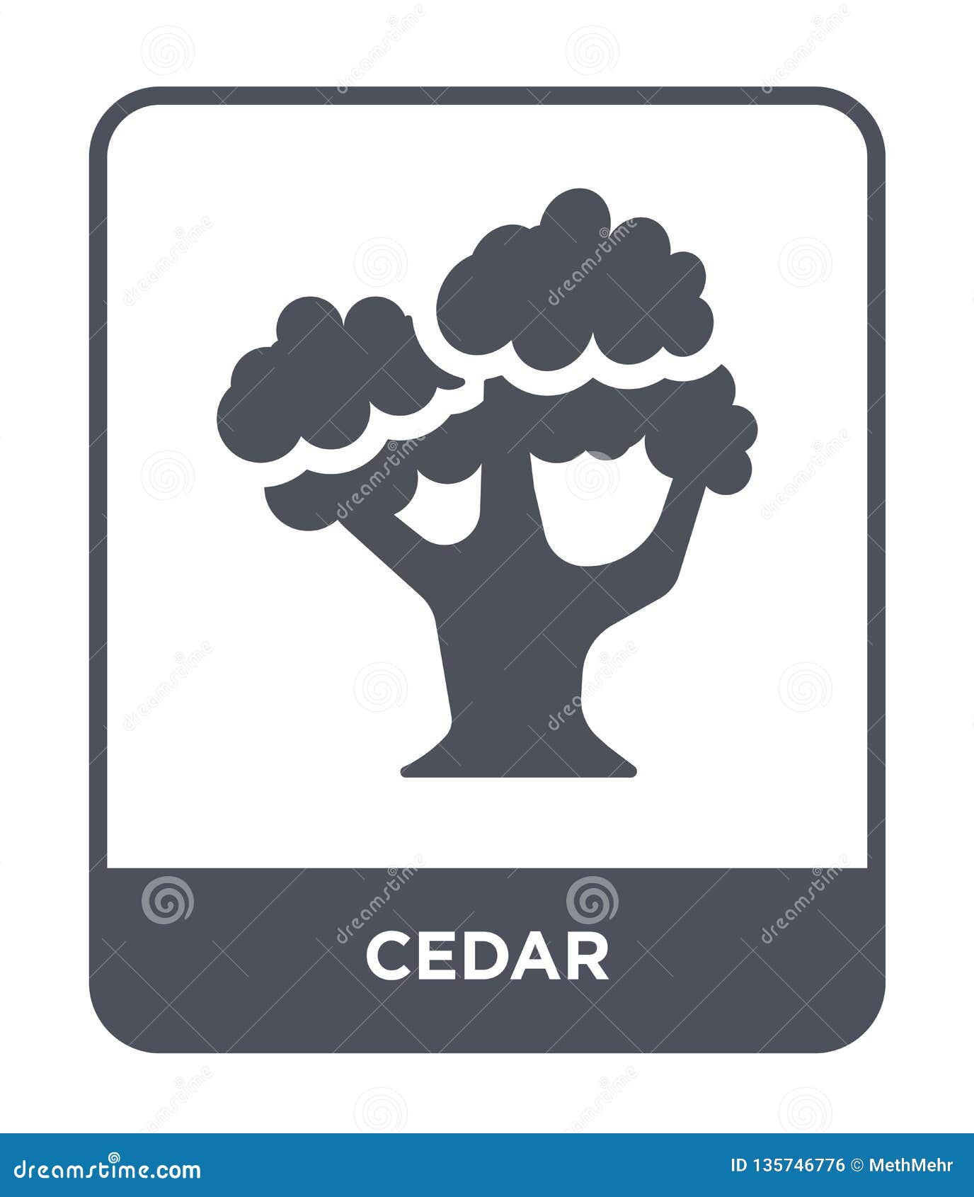 Cedar Icon in Trendy Design Style. Cedar Icon Isolated on White ...