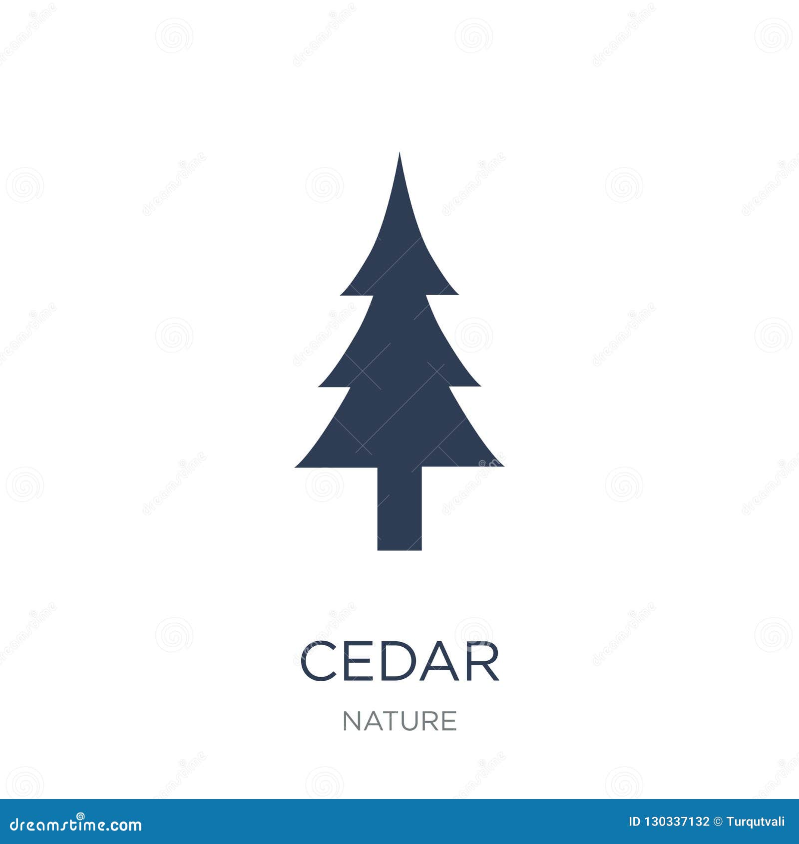 Cedar Icon. Trendy Flat Vector Cedar Icon on White Background Fr Stock ...