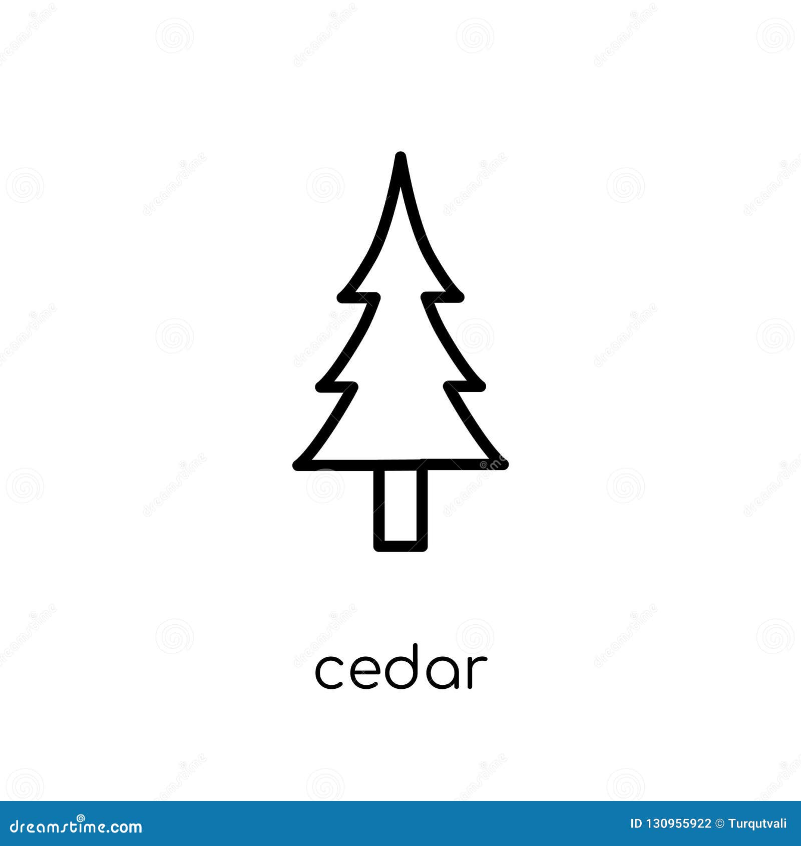 Cedar Icon. Trendy Modern Flat Linear Vector Cedar Icon on White Stock ...