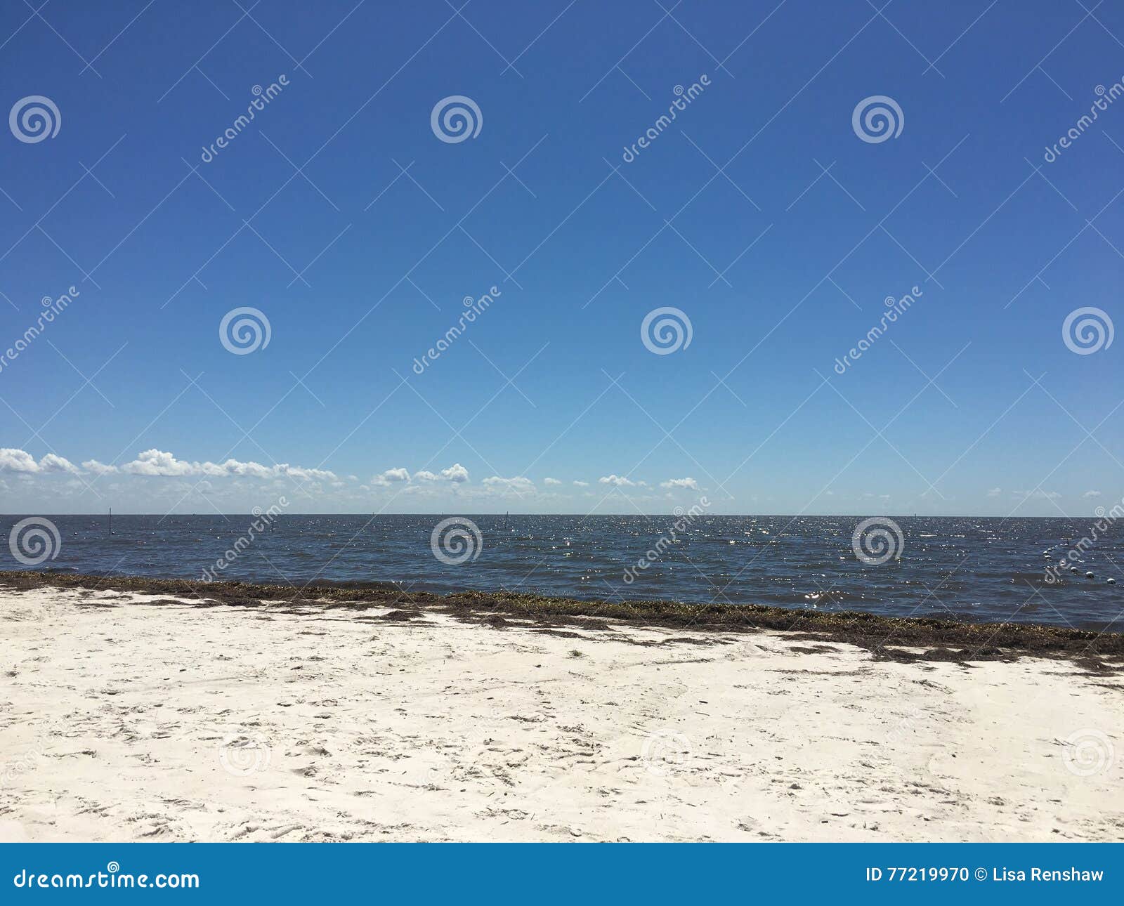 Cedar Key Beach stock photo. Image of sand, natural, cedar - 77219970