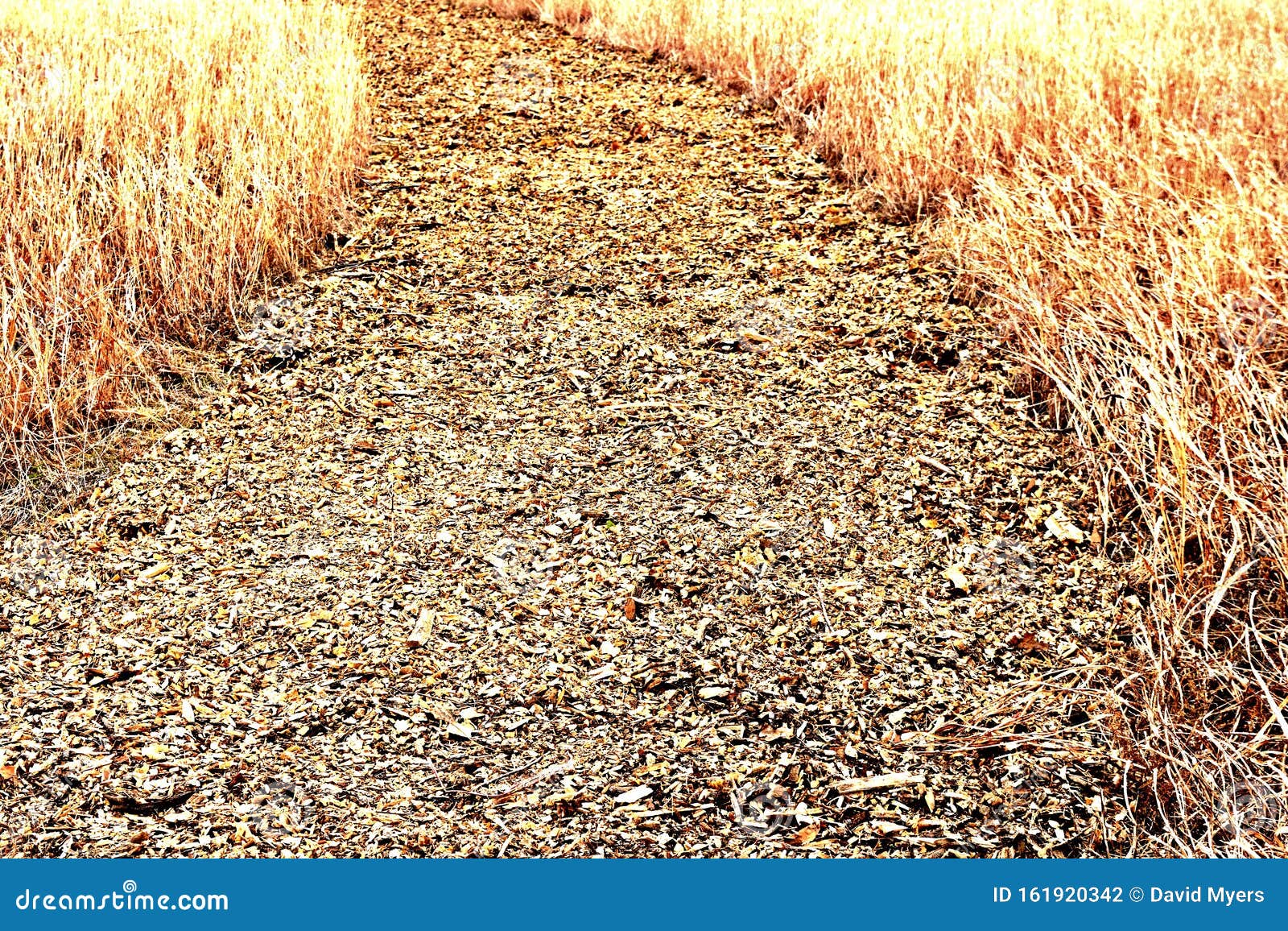 Cedar Mulch Pathway through the Field Stock Photo - Image of background ...