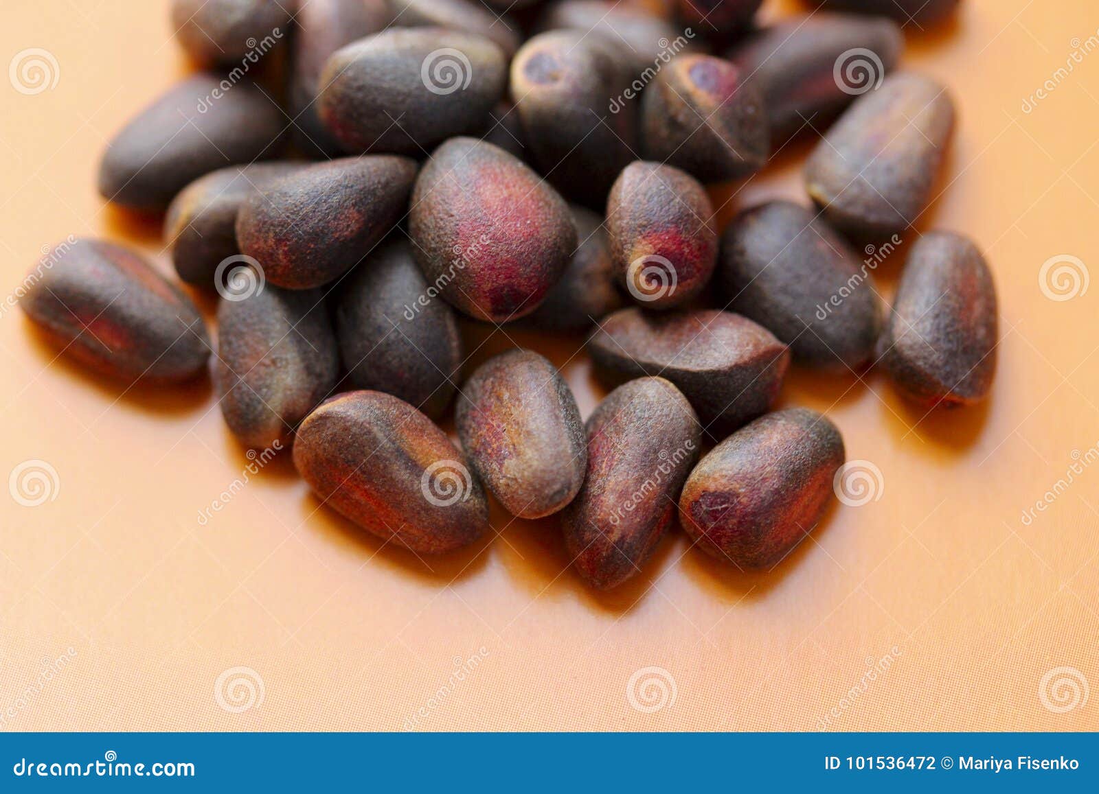 Cedar nut stock photo. Image of health, handful, closeup - 101536472
