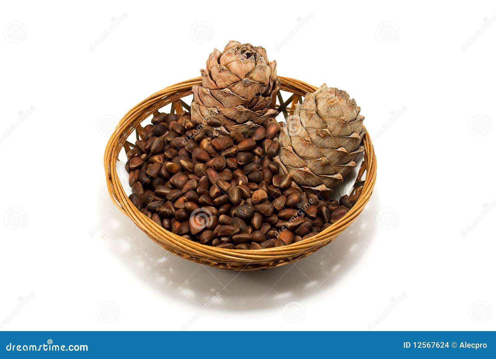 Cedar nuts stock photo. Image of pine, shape, macro, cedar - 12567624