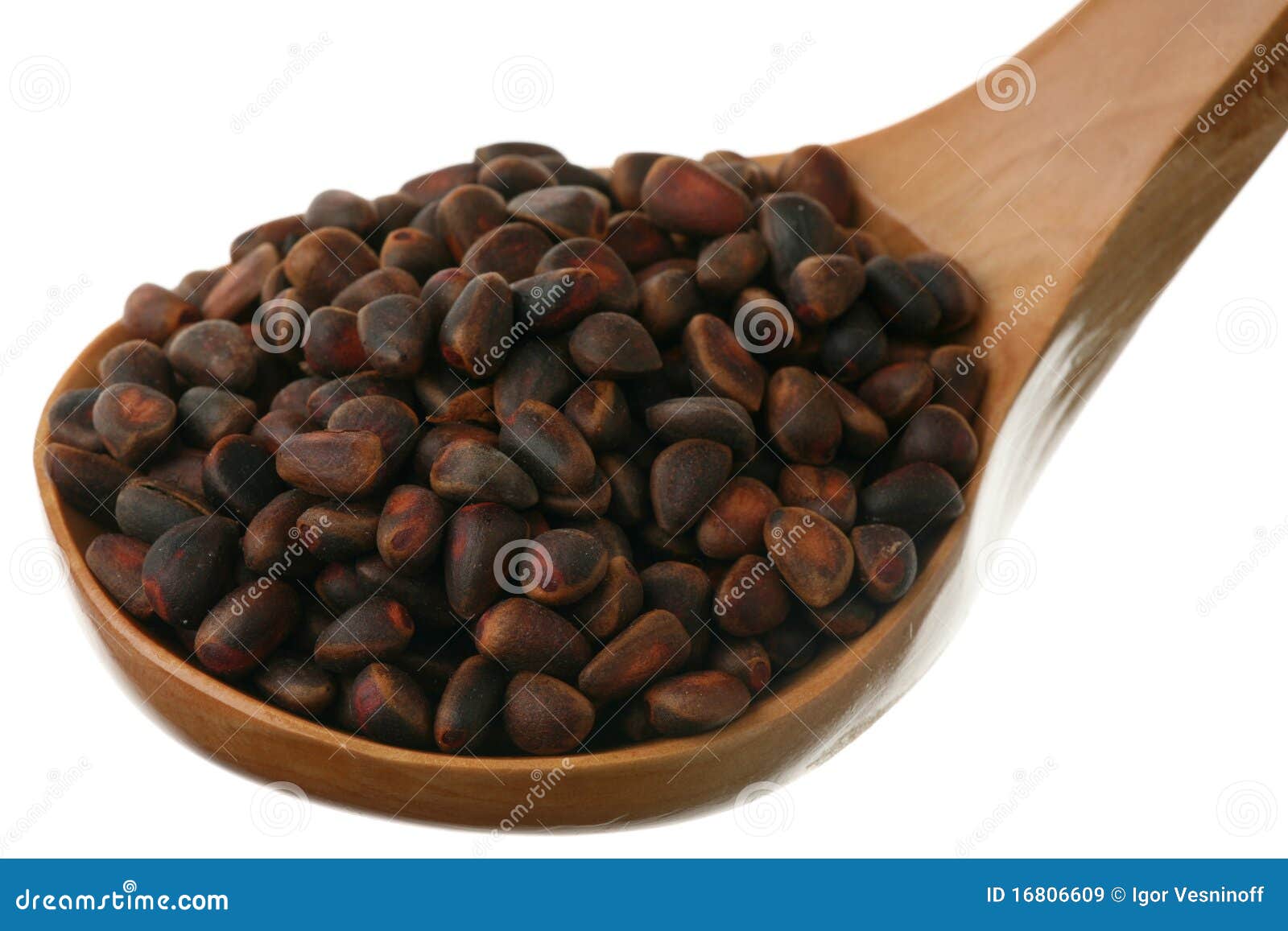 Cedar nuts stock image. Image of cedar, handful, spoon - 16806609