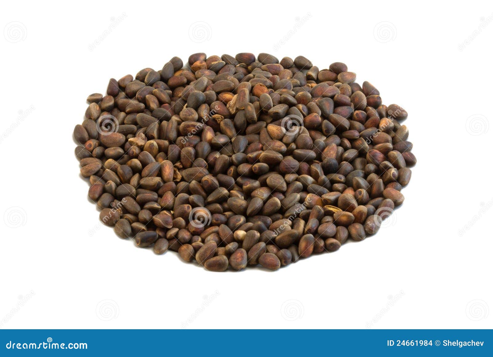 Cedar nuts stock photo. Image of food, healthy, shelled - 24661984
