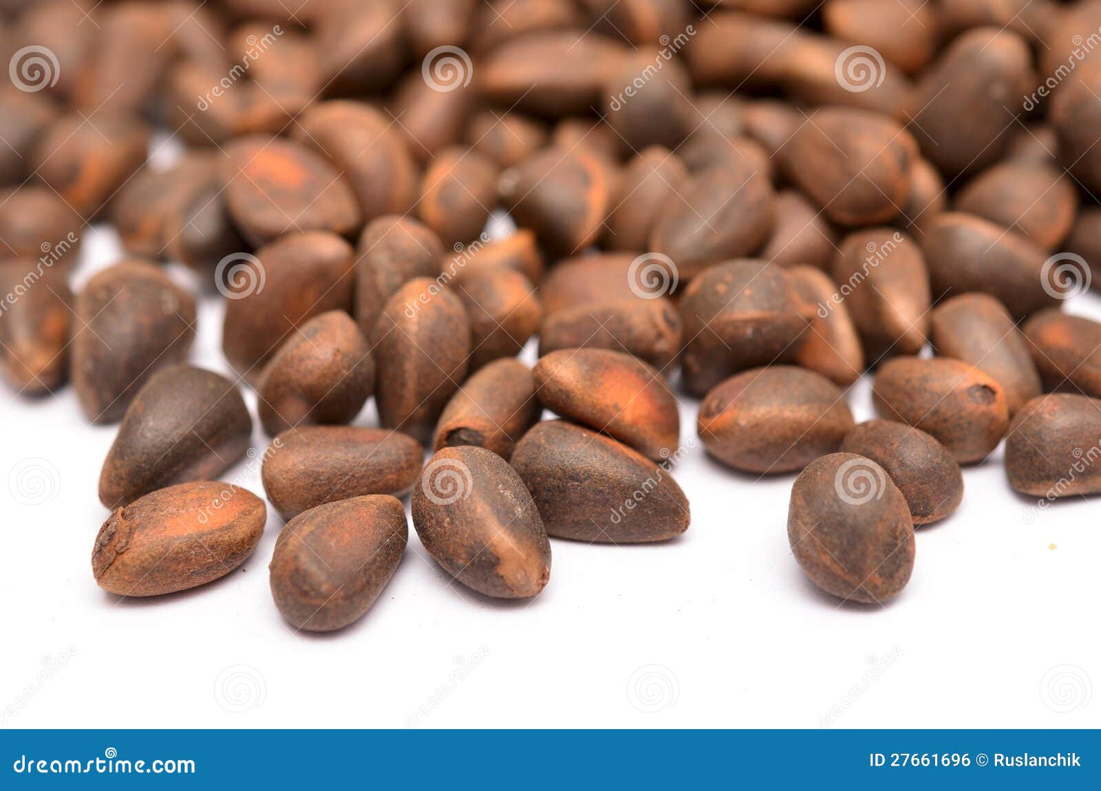 Cedar nuts stock photo. Image of aroma, plant, pile, pine - 27661696
