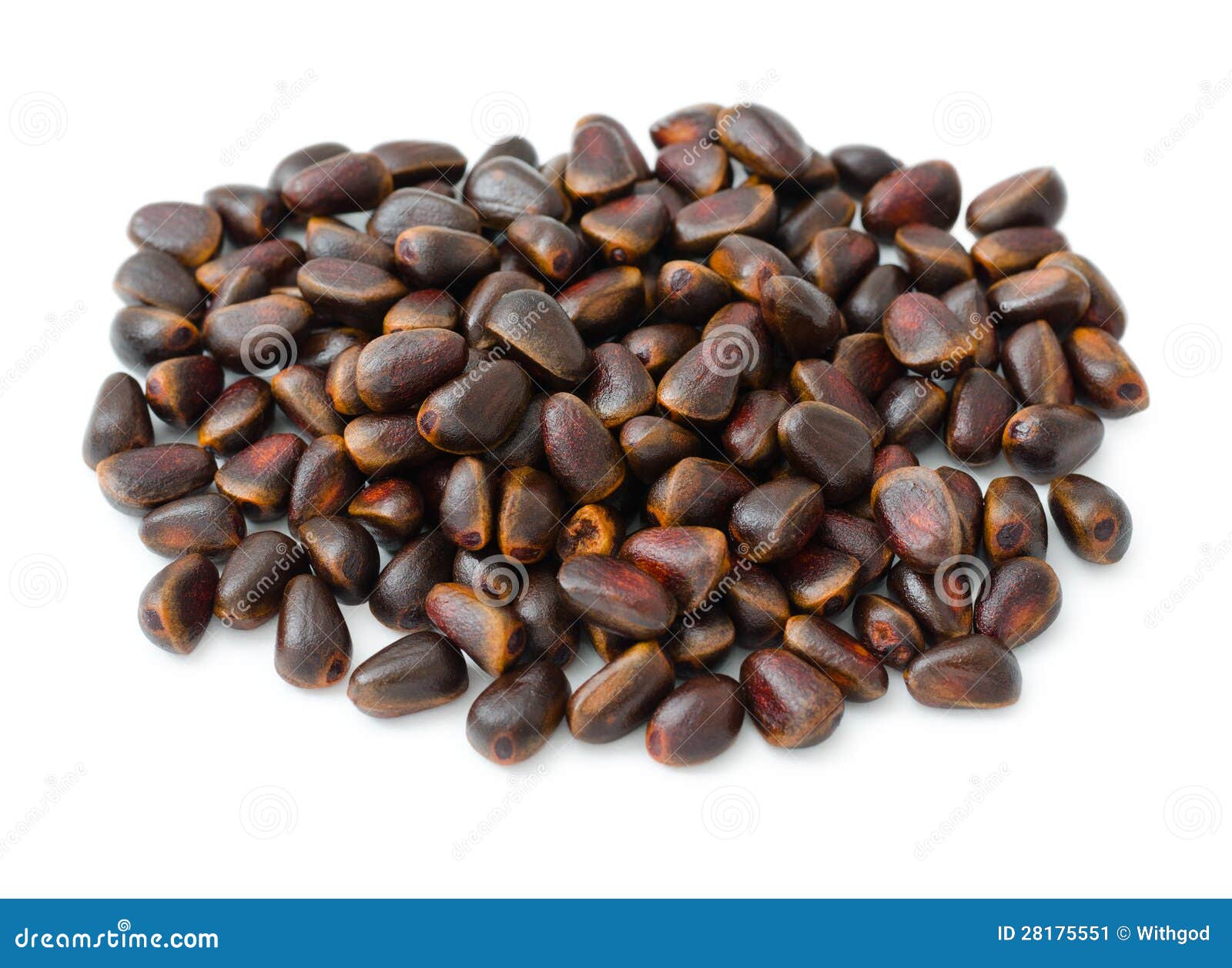 Cedar nuts stock image. Image of pine, white, siberia - 28175551