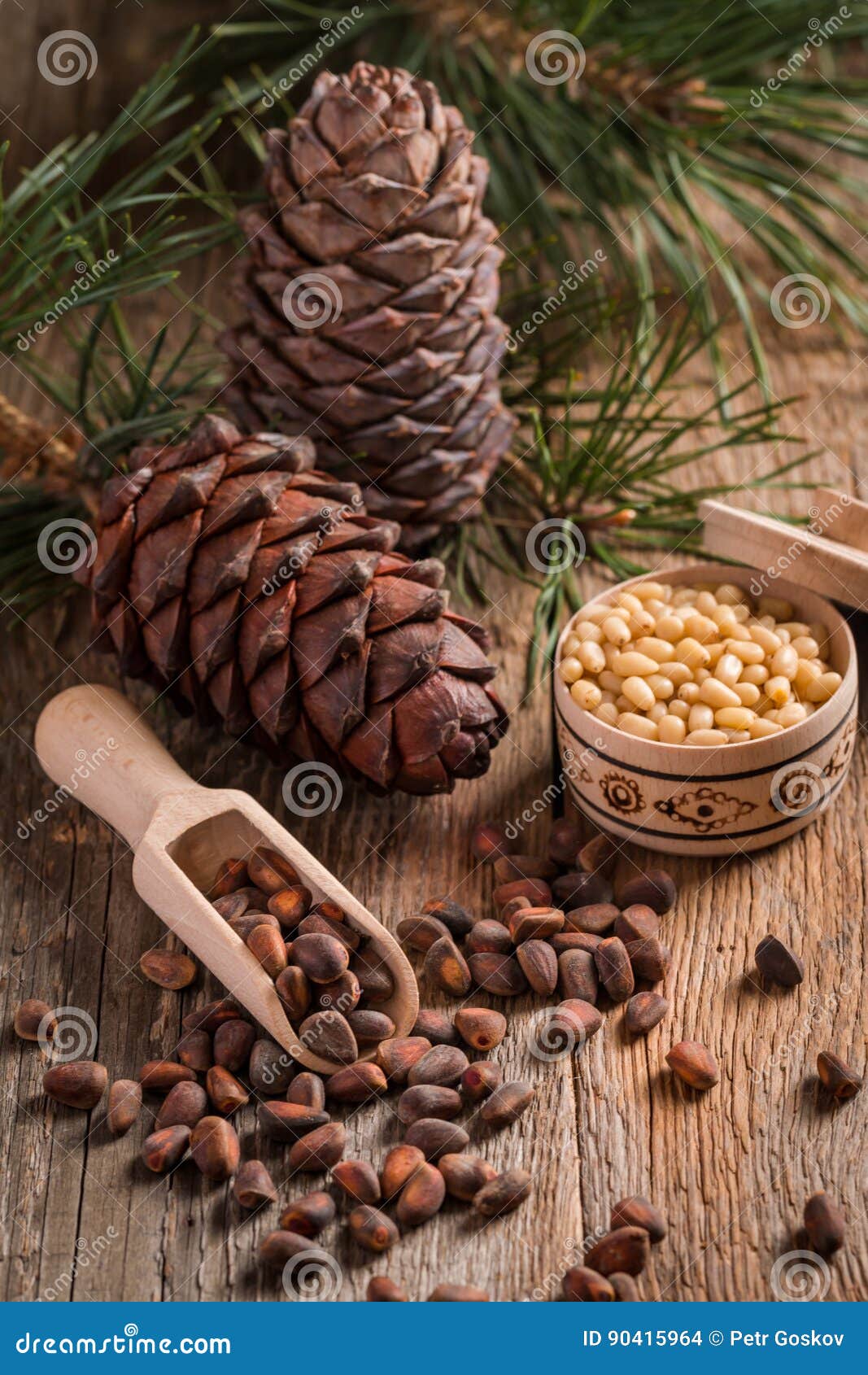 Cedar Nuts and Branch with Cone Stock Photo - Image of healthy, seed ...