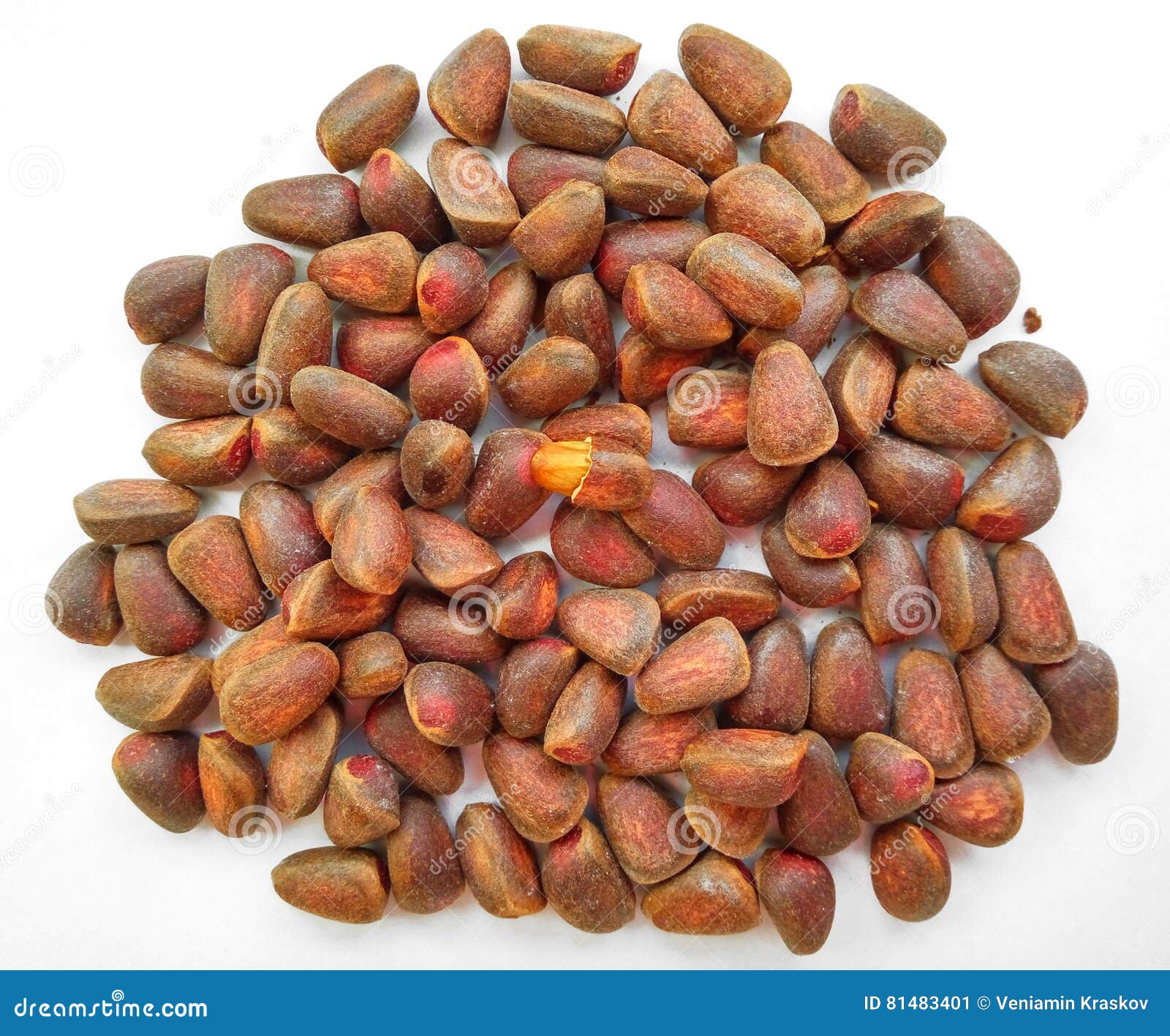 Cedar nuts stock image. Image of handful, pine, pinoli - 81483401