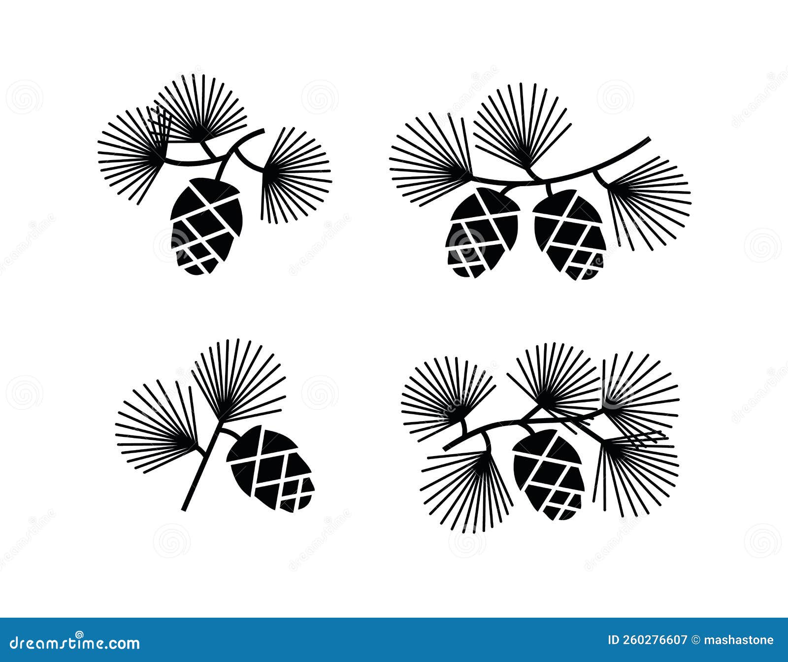 Cedar or Pine Cones on Branches with Needles. Vector Black ...