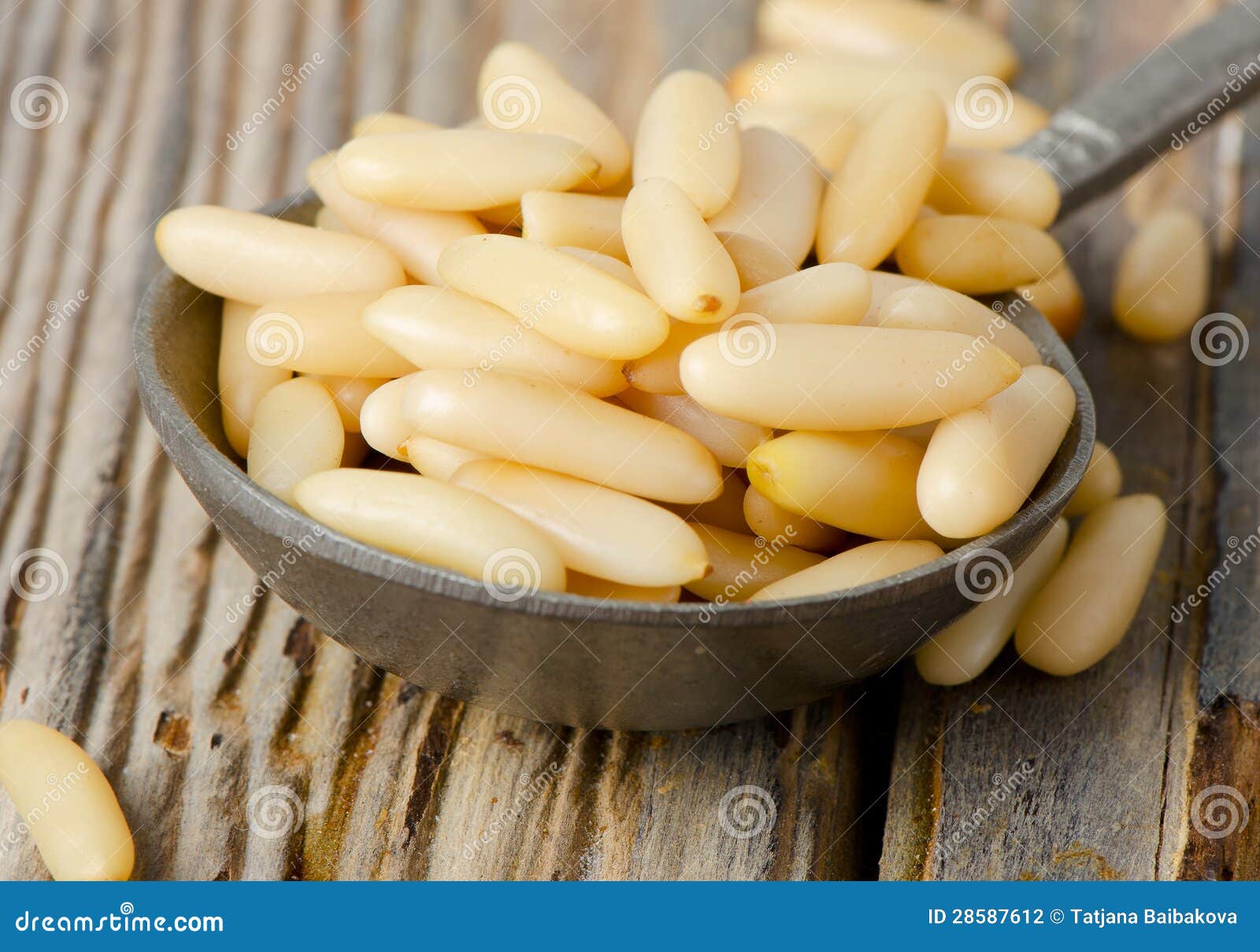 Cedar Pine nuts stock photo. Image of wooden, pinenut - 28587612