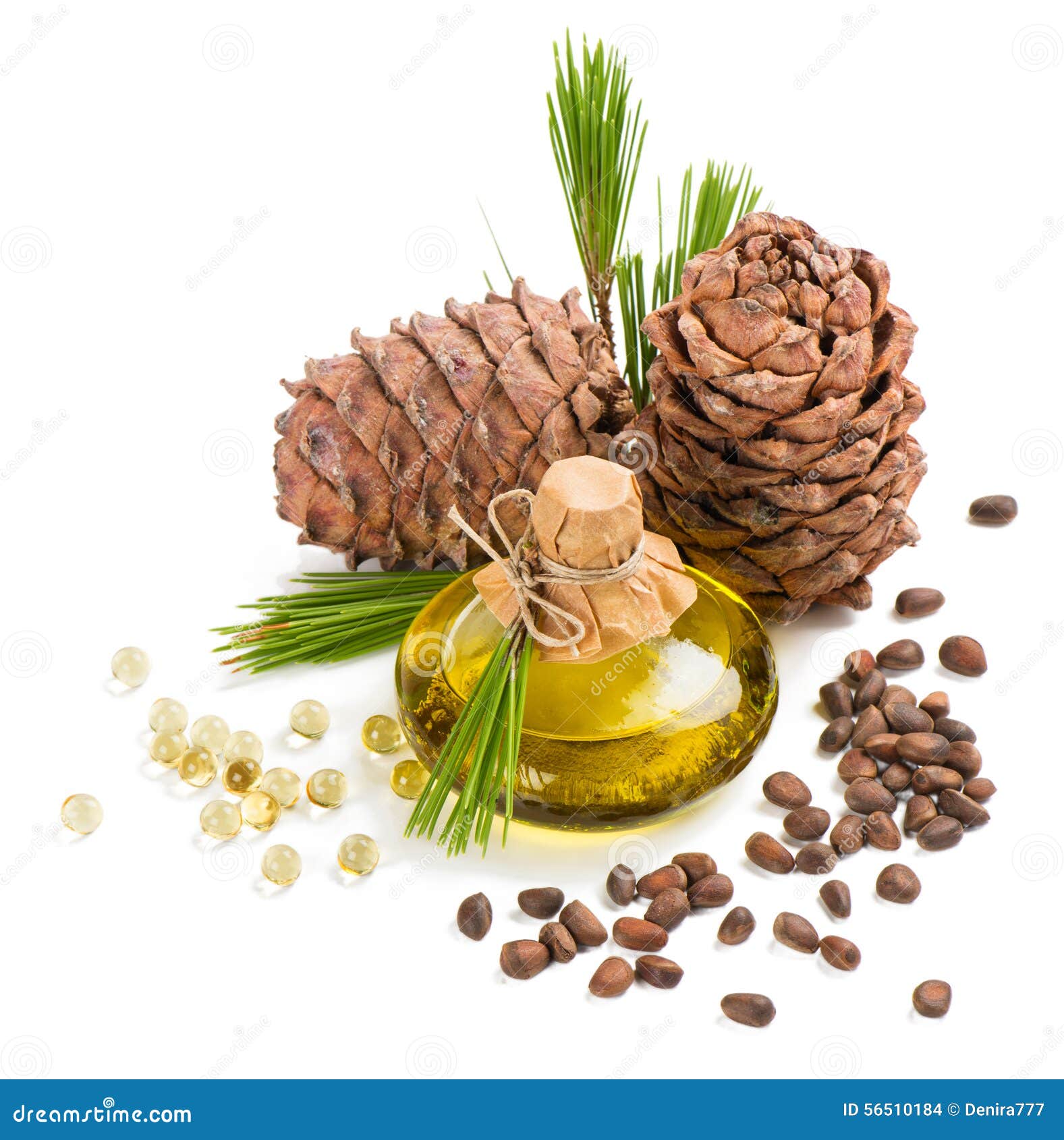 Cedar pine nuts and oil stock photo. Image of healthy - 56510184