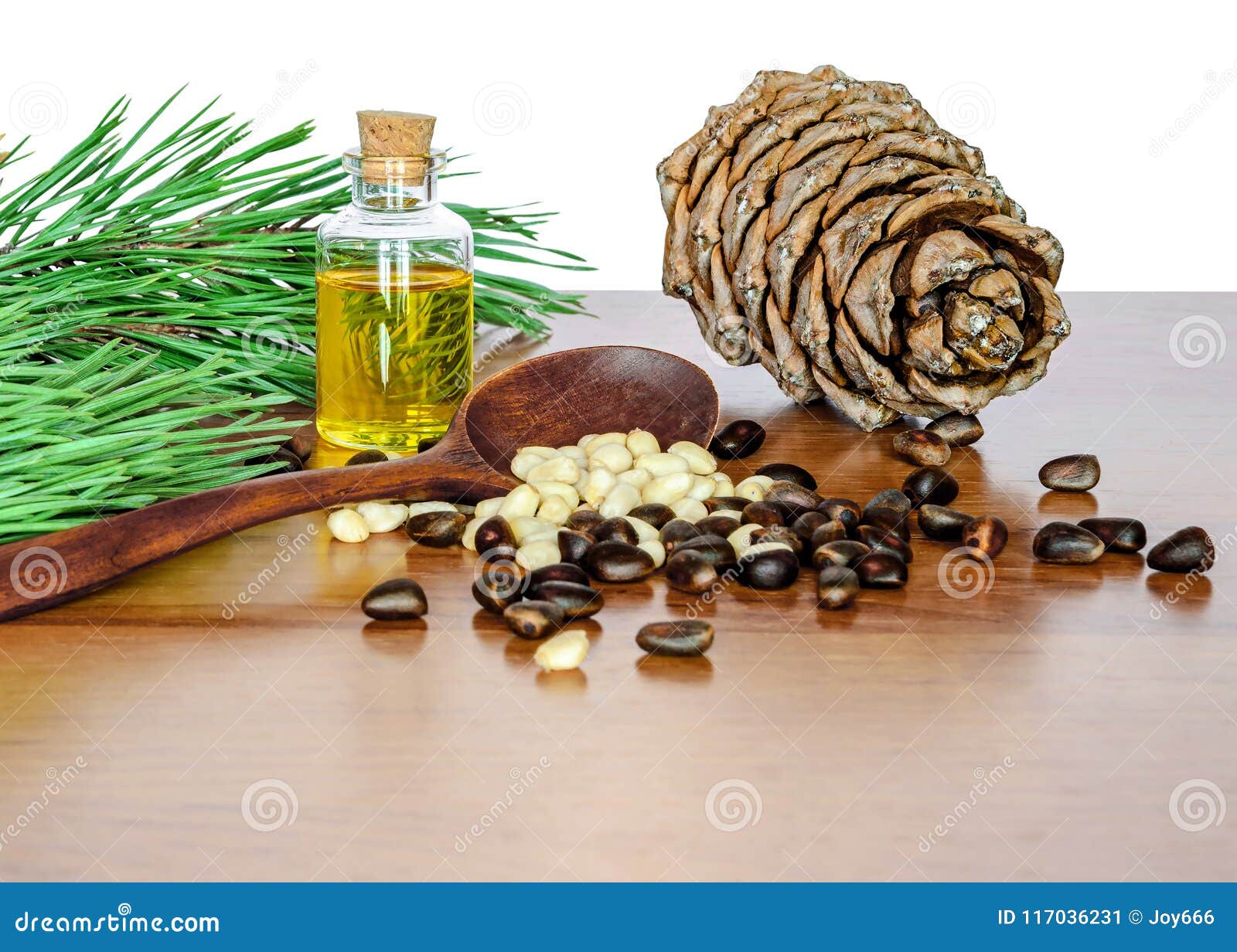 Cedar pine nuts and oil stock image. Image of cedar - 117036231