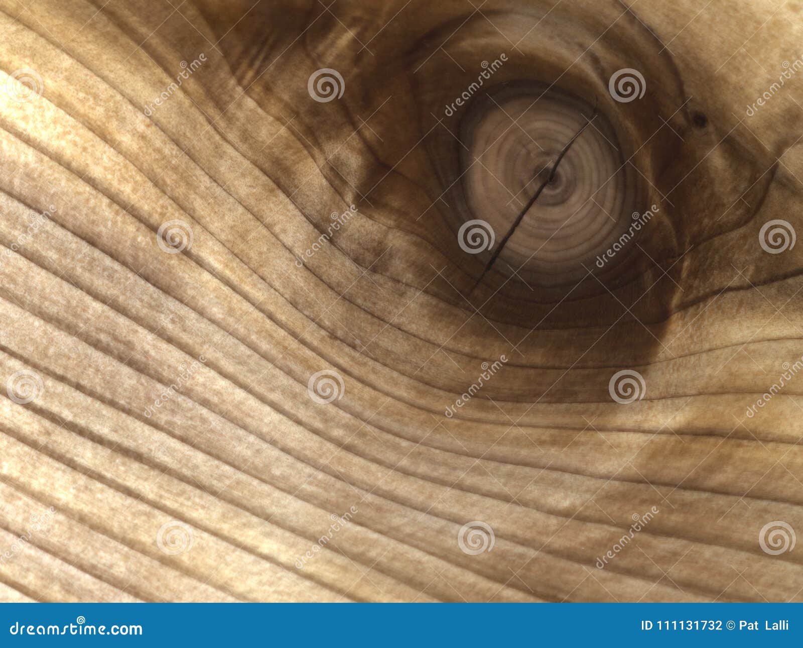 Cedar plank with a knot 10 stock photo. Image of knot - 111131732