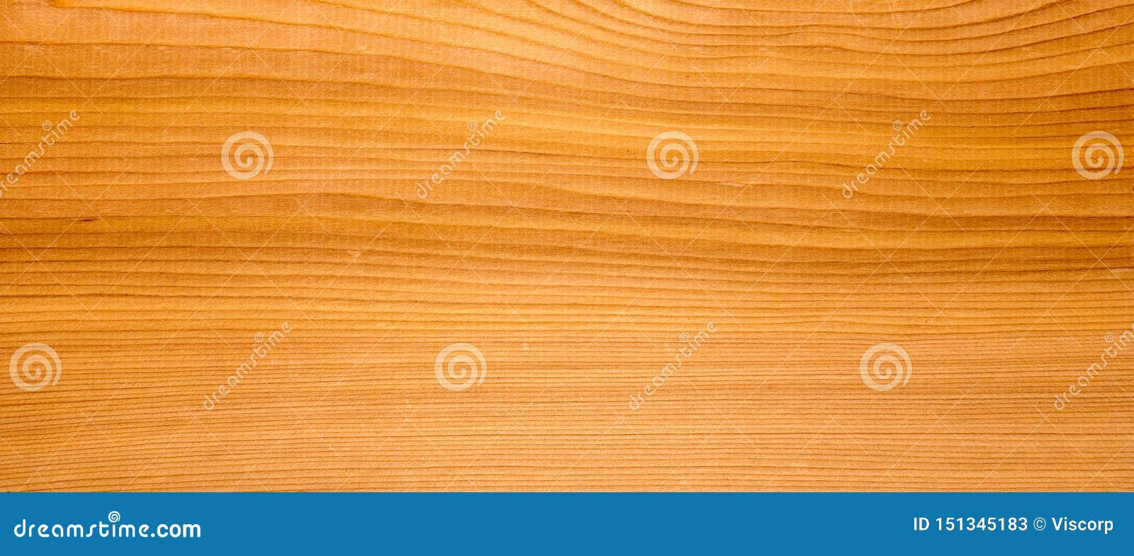 Cedar Plank Texture stock image. Image of carpentry - 151345183