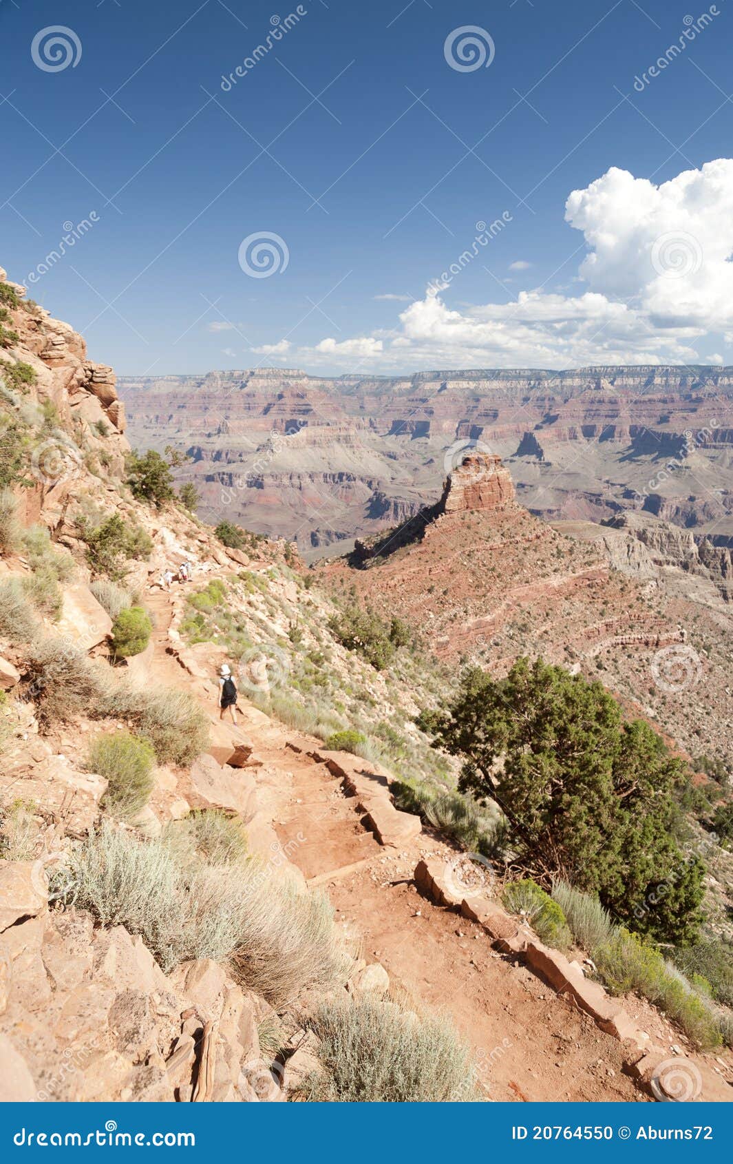 Cedar Ridge, Grand Canyon stock photo. Image of distance - 20764550