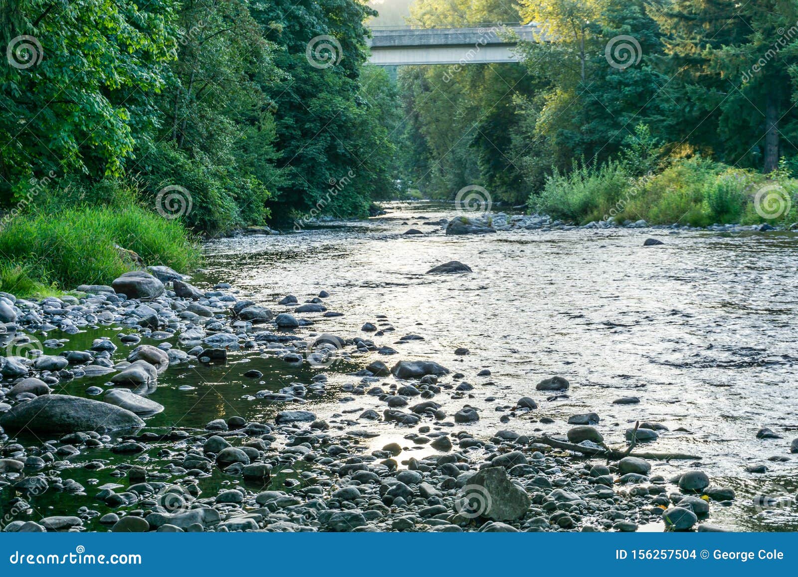 Cedar River and Highway stock photo. Image of highway - 156257504