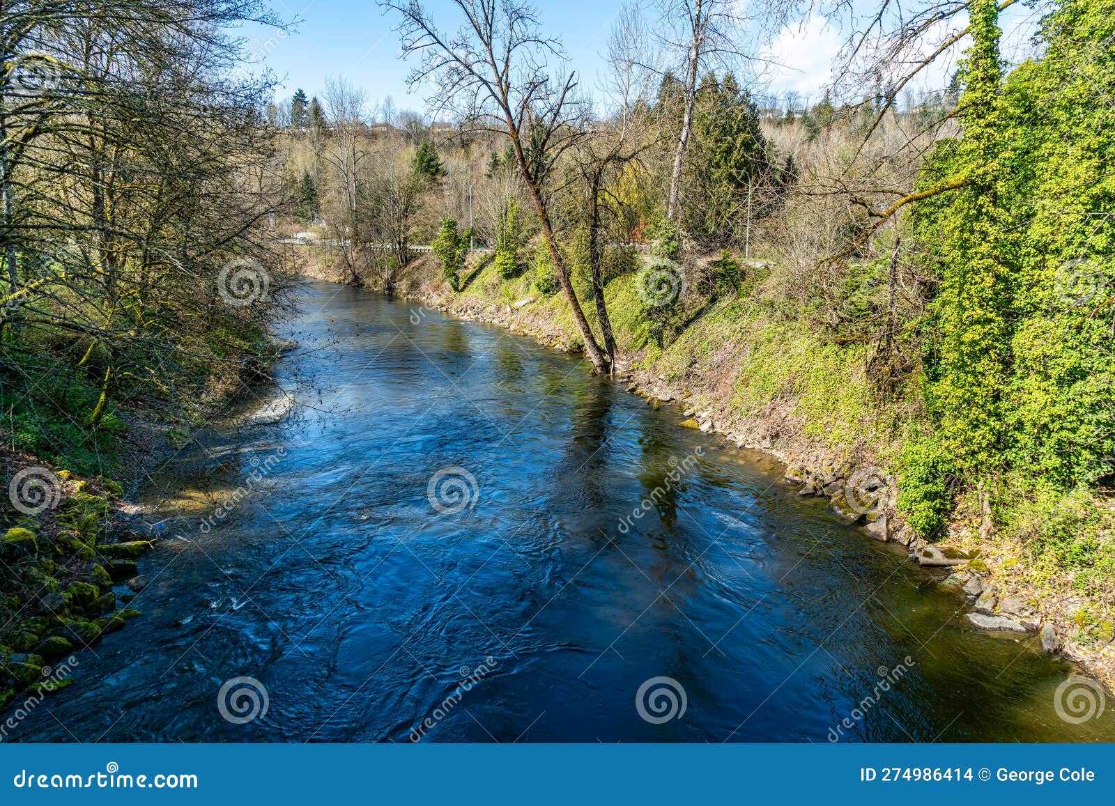 Cedar River in Renton 3 stock photo. Image of state - 274986414