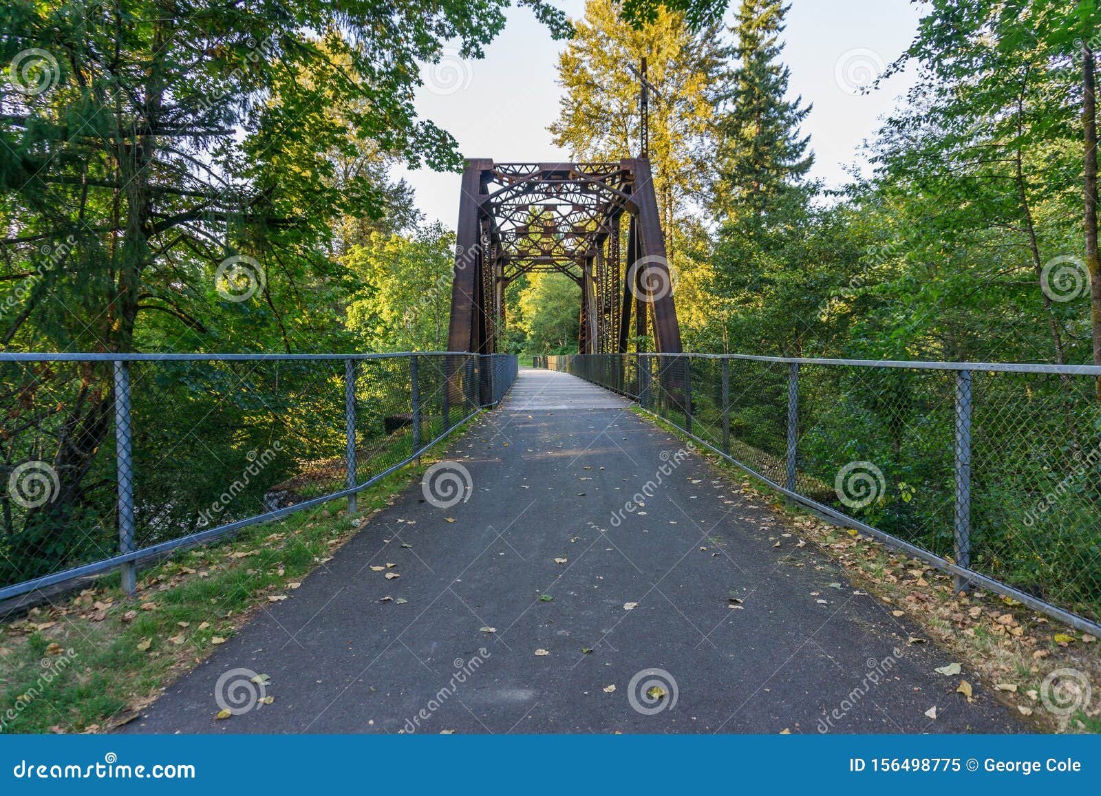 Cedar River Trail Bridge 5 stock image. Image of river - 156498775