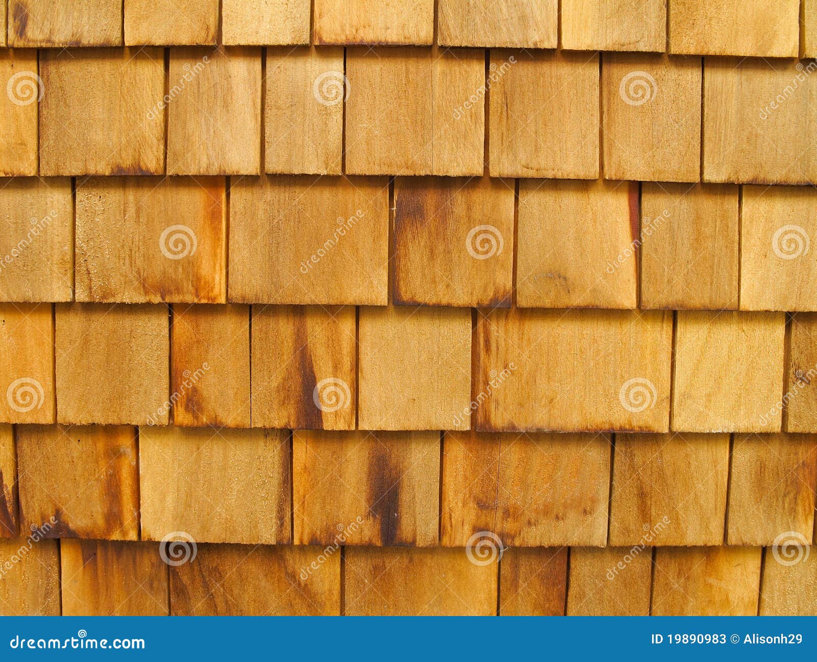 Cedar Shingles stock image. Image of siding, abstract - 19890983