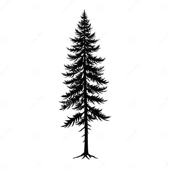 Cedar Tree Black Colour Silhouette Vector Stock Illustration ...