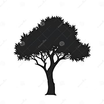 Cedar Tree Black Colour Silhouette Vector Stock Illustration ...