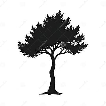 Cedar Tree Black Colour Silhouette Vector Stock Illustration ...