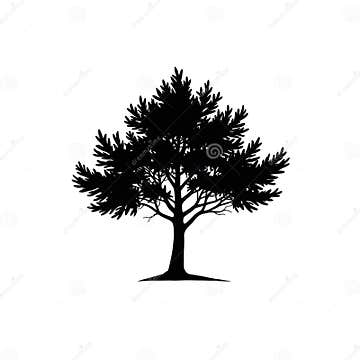 Cedar Tree Black Colour Silhouette Vector Stock Illustration ...